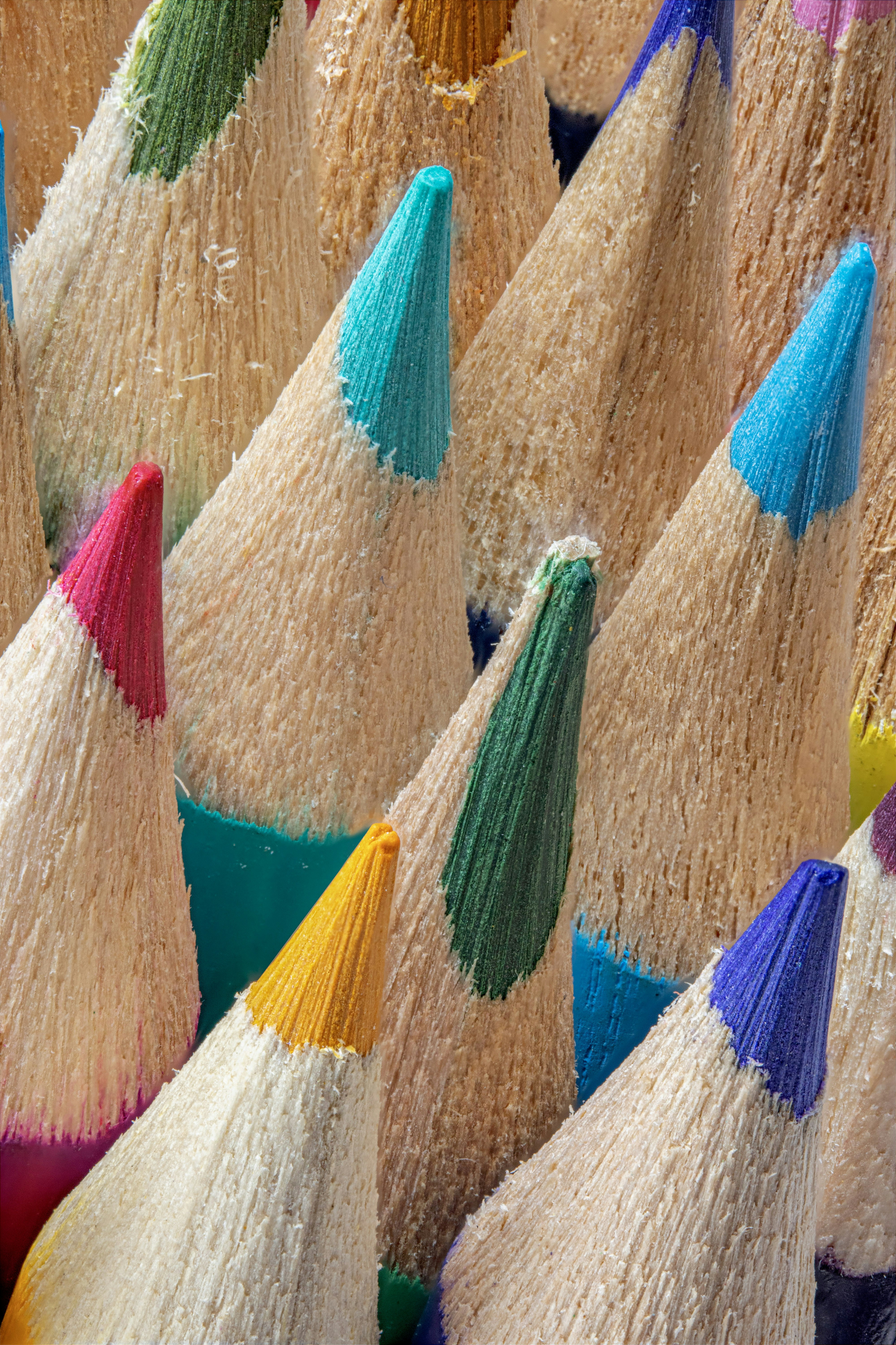 Pinned Rainbow: An Array of Sharpened Colored Pencils Close-Up