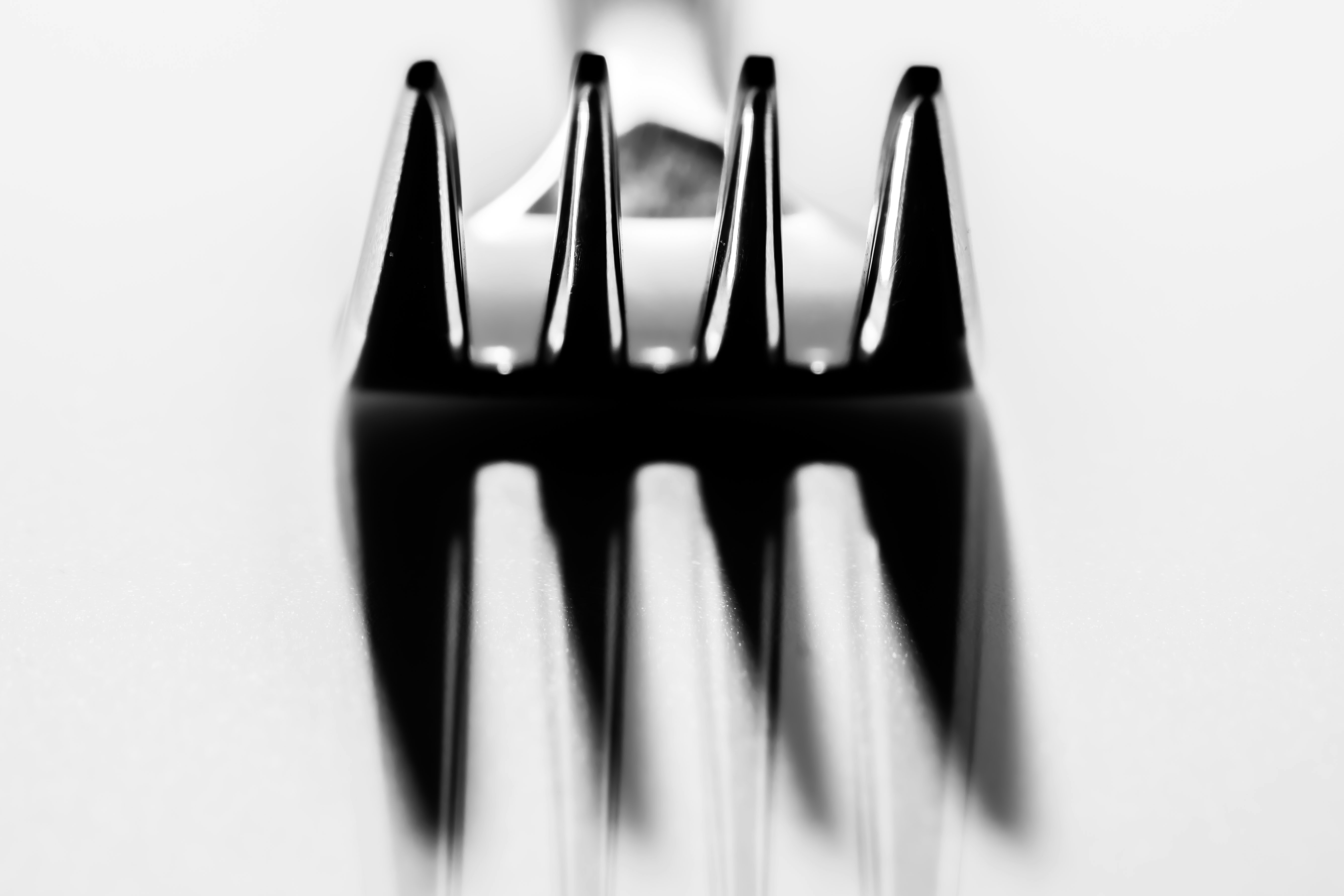 Monochrome Macro: The Repeated Tine Between Light and Blur