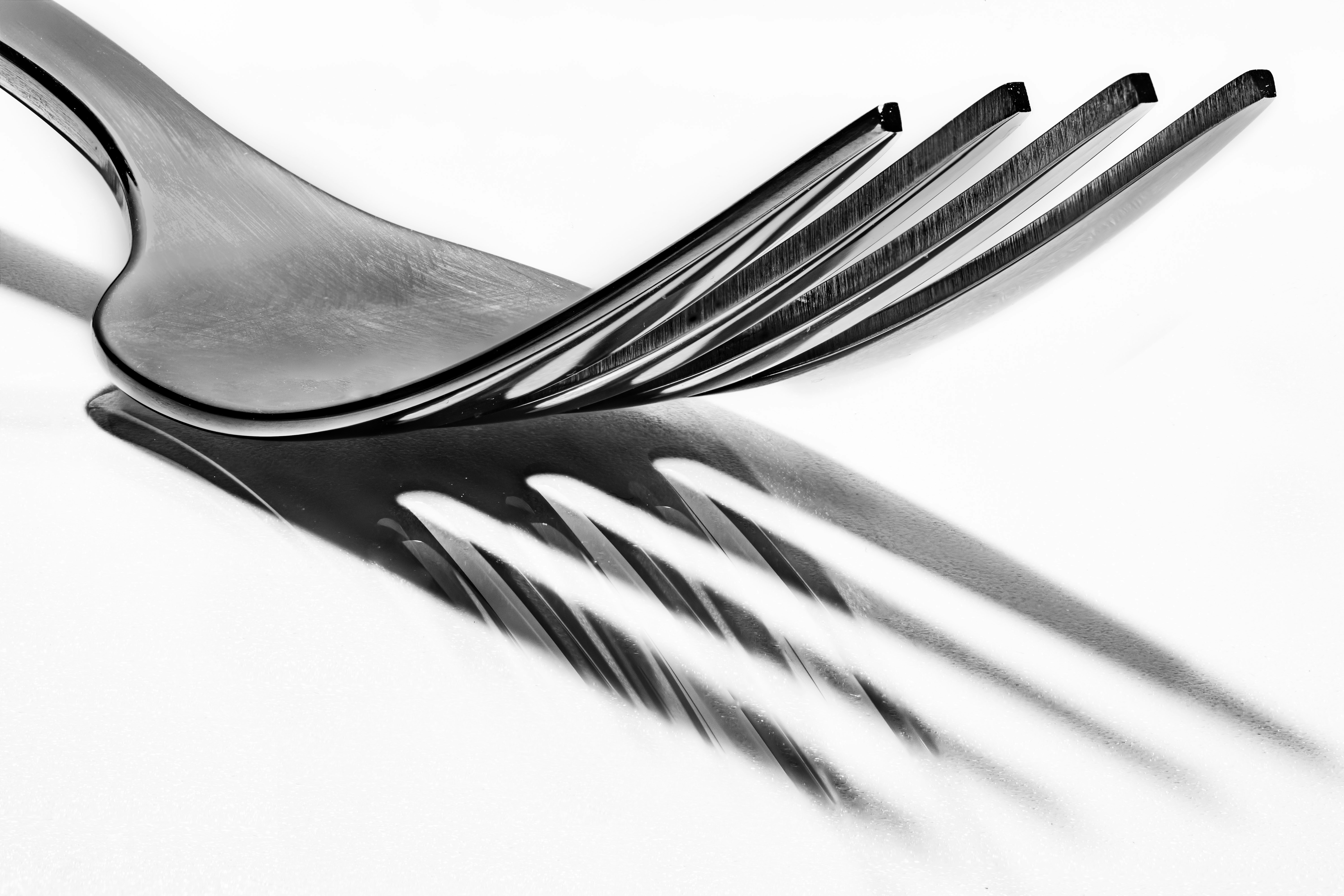 Minimalist Slice: A Forkful of Echoes in Black and White
