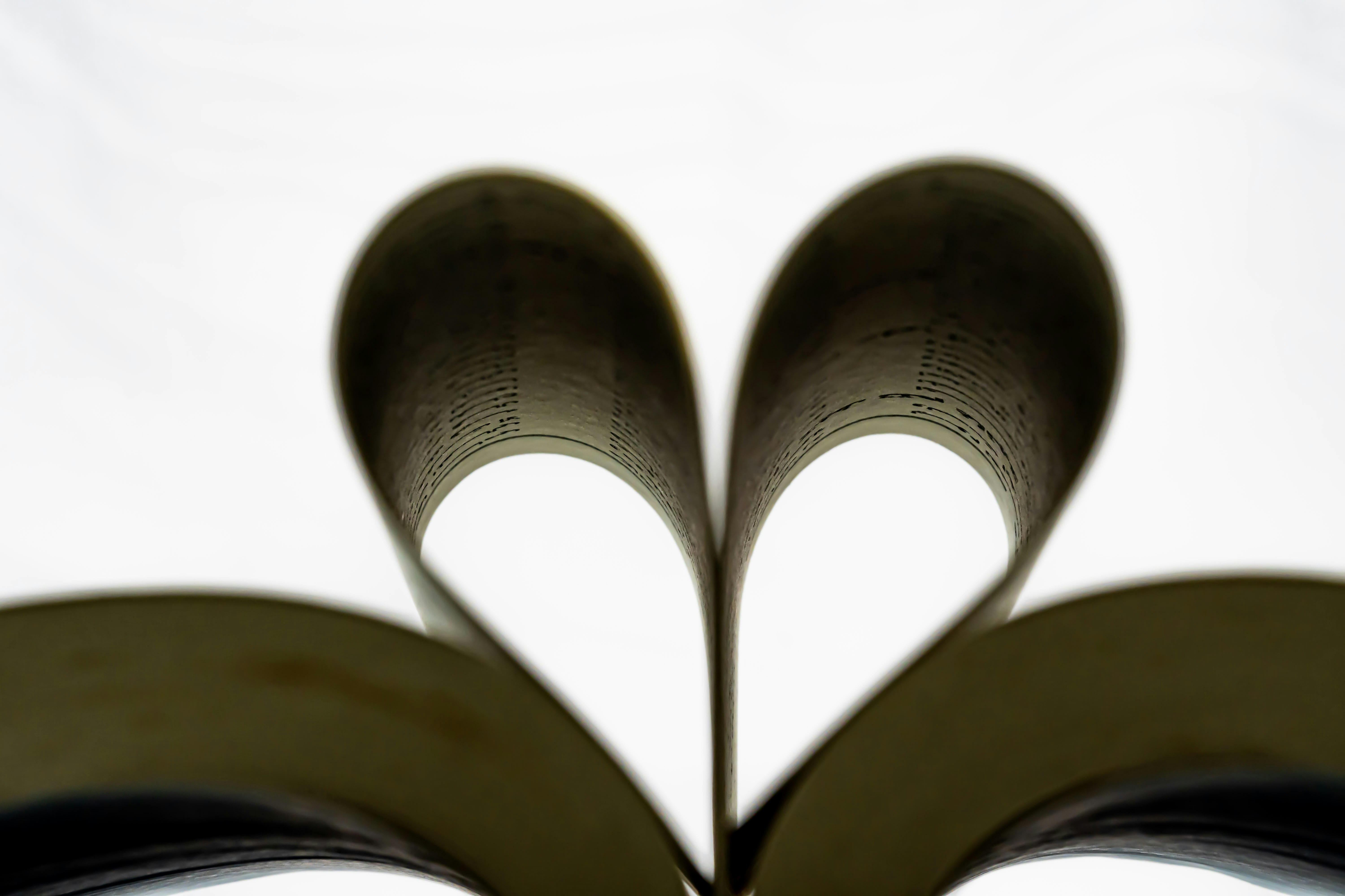 Heart of Paper: An Opened Love Letter from Book Pages