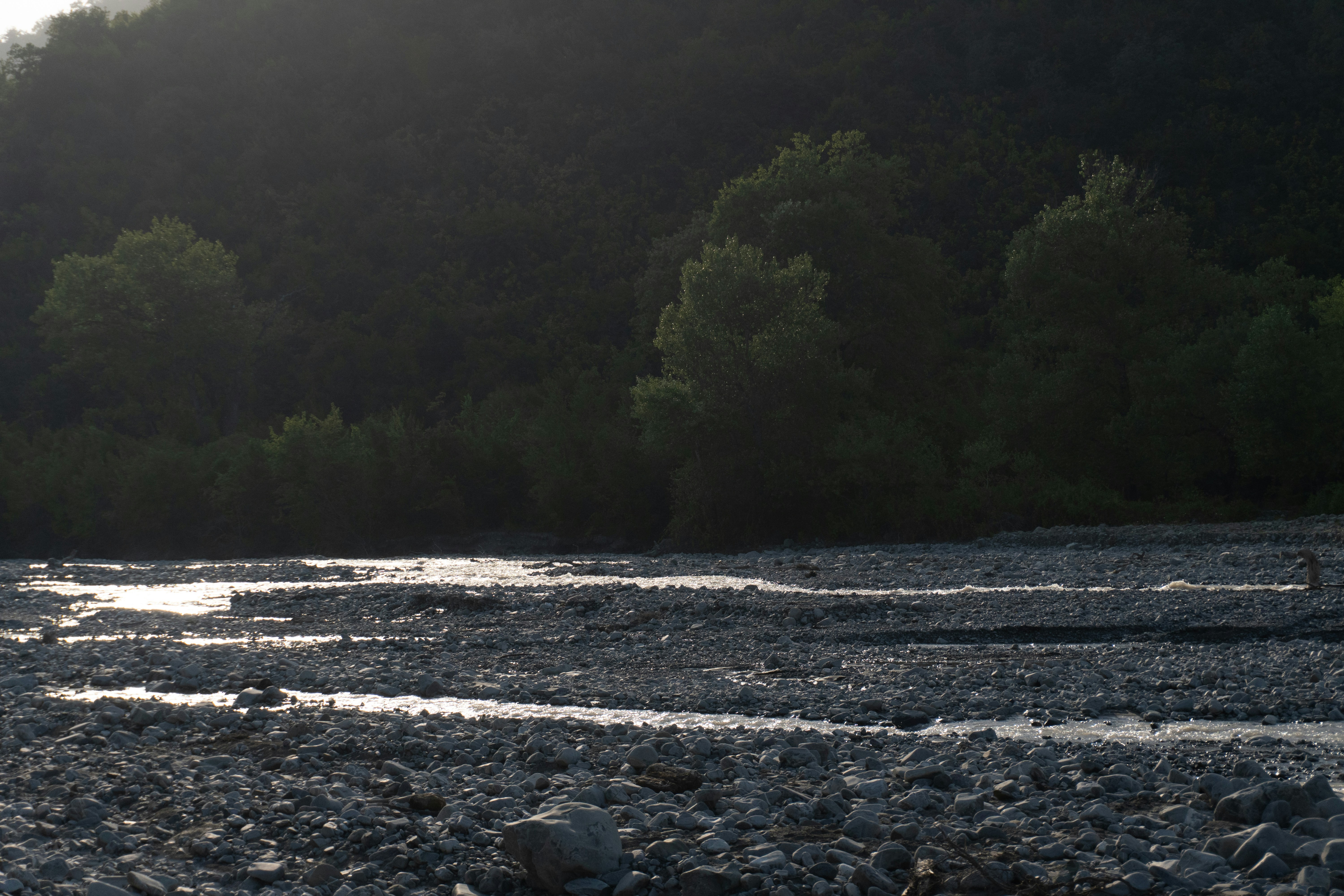 Riverbank Quiet: Evening Light on Pebbles and Edge of Forest