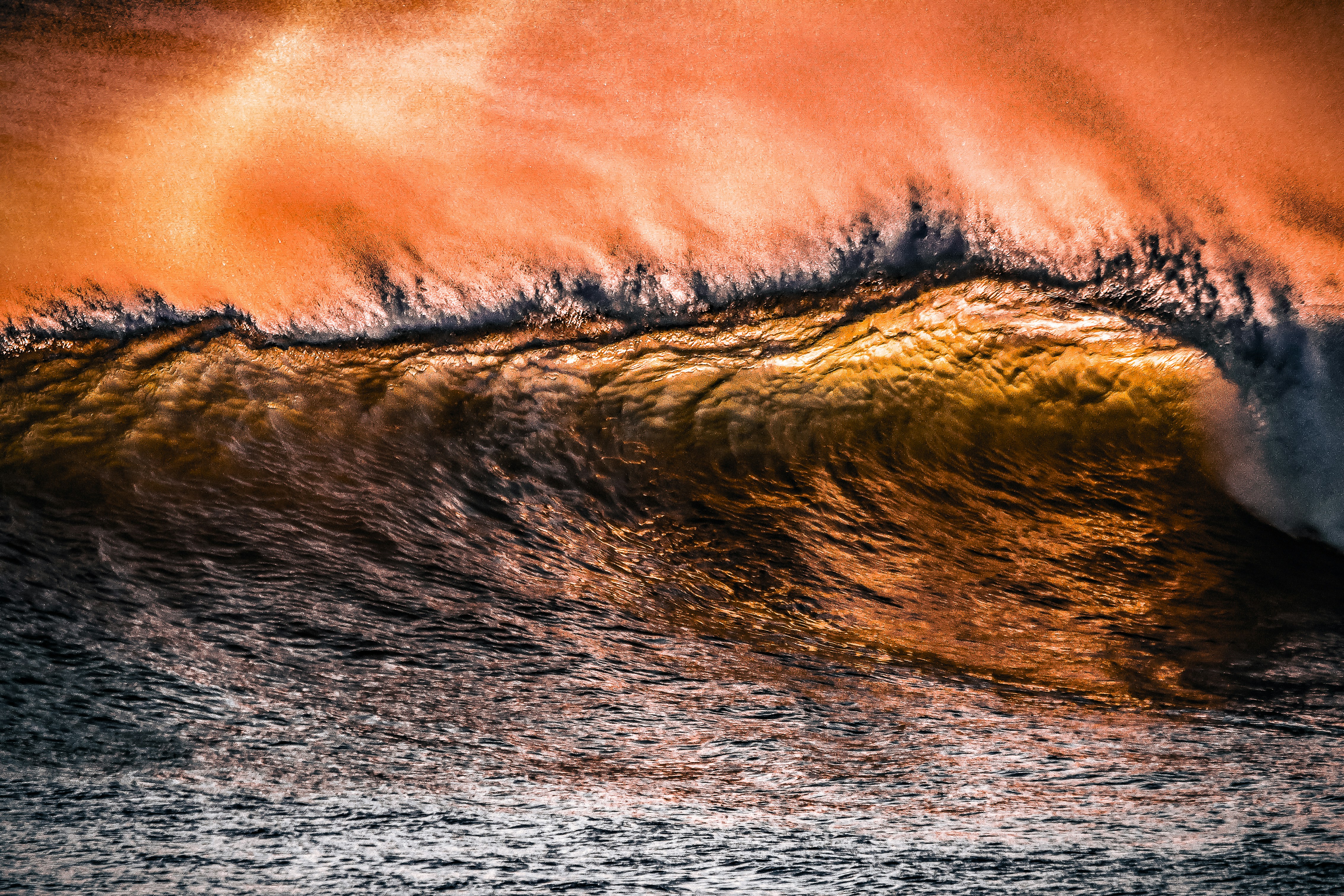 Golden Crest of a Sea Wave