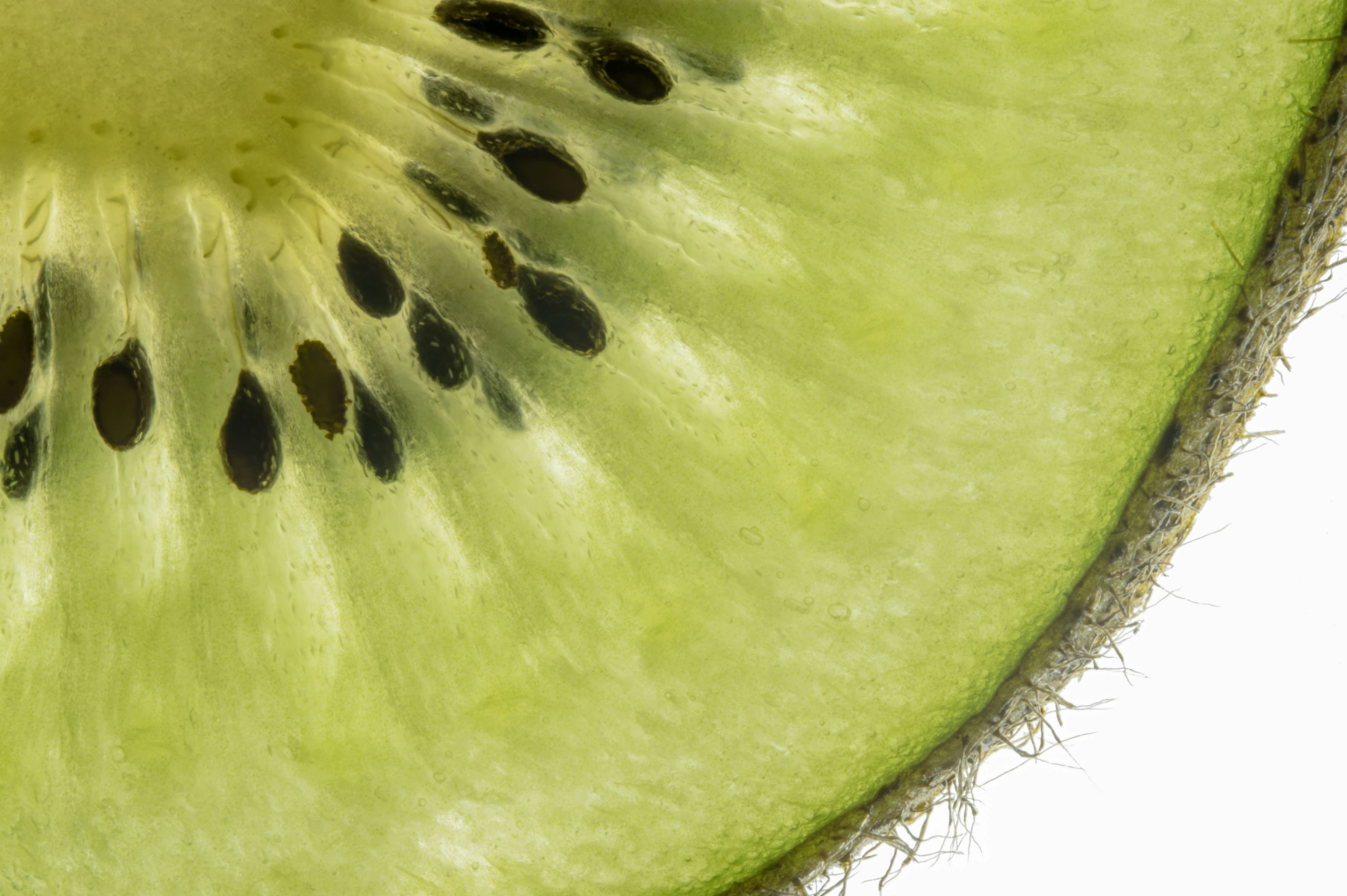 Close-up of a Kiwi Slice Edge with Hairy Rim Texture