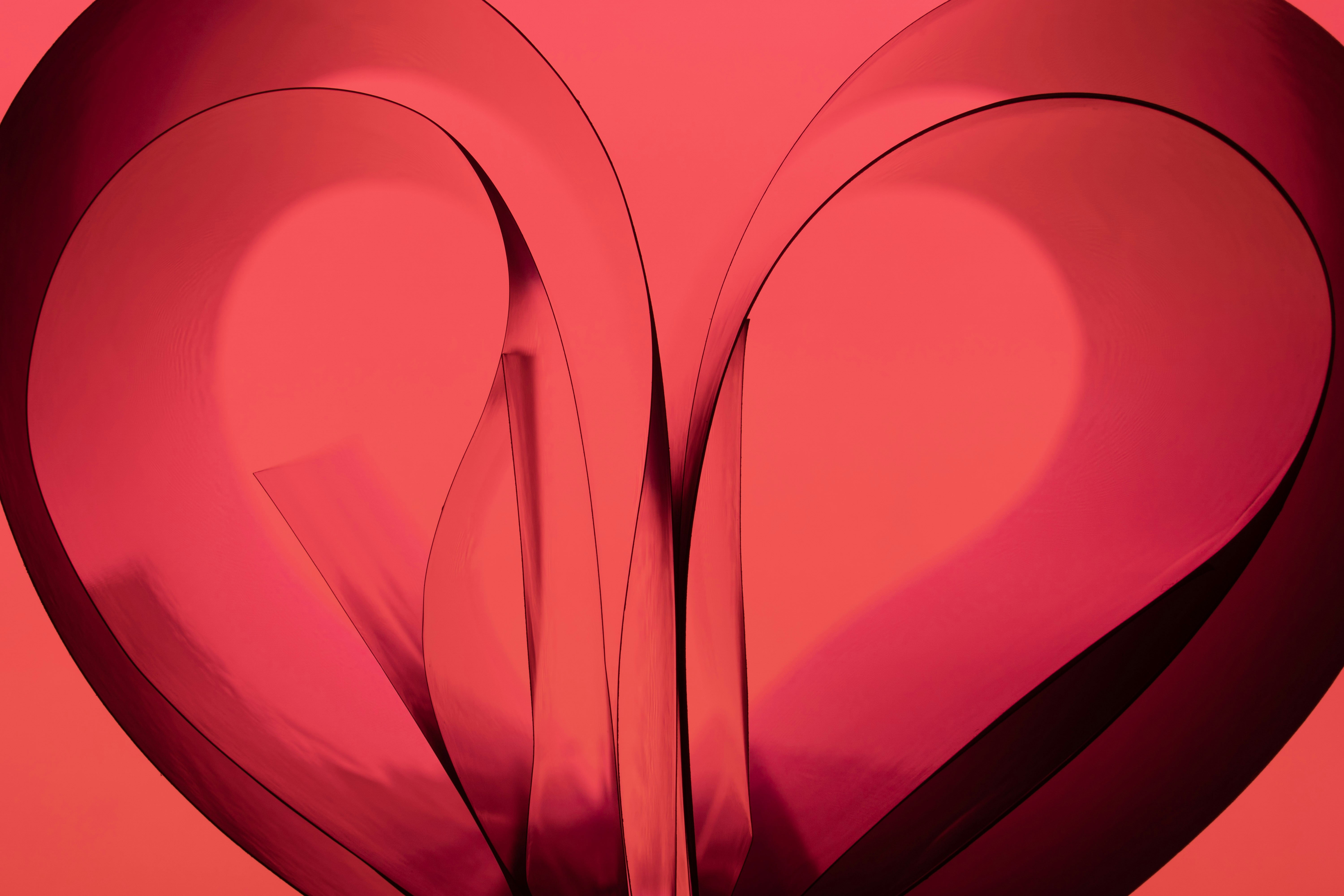 A Silken Heart Folded in Crimson Light