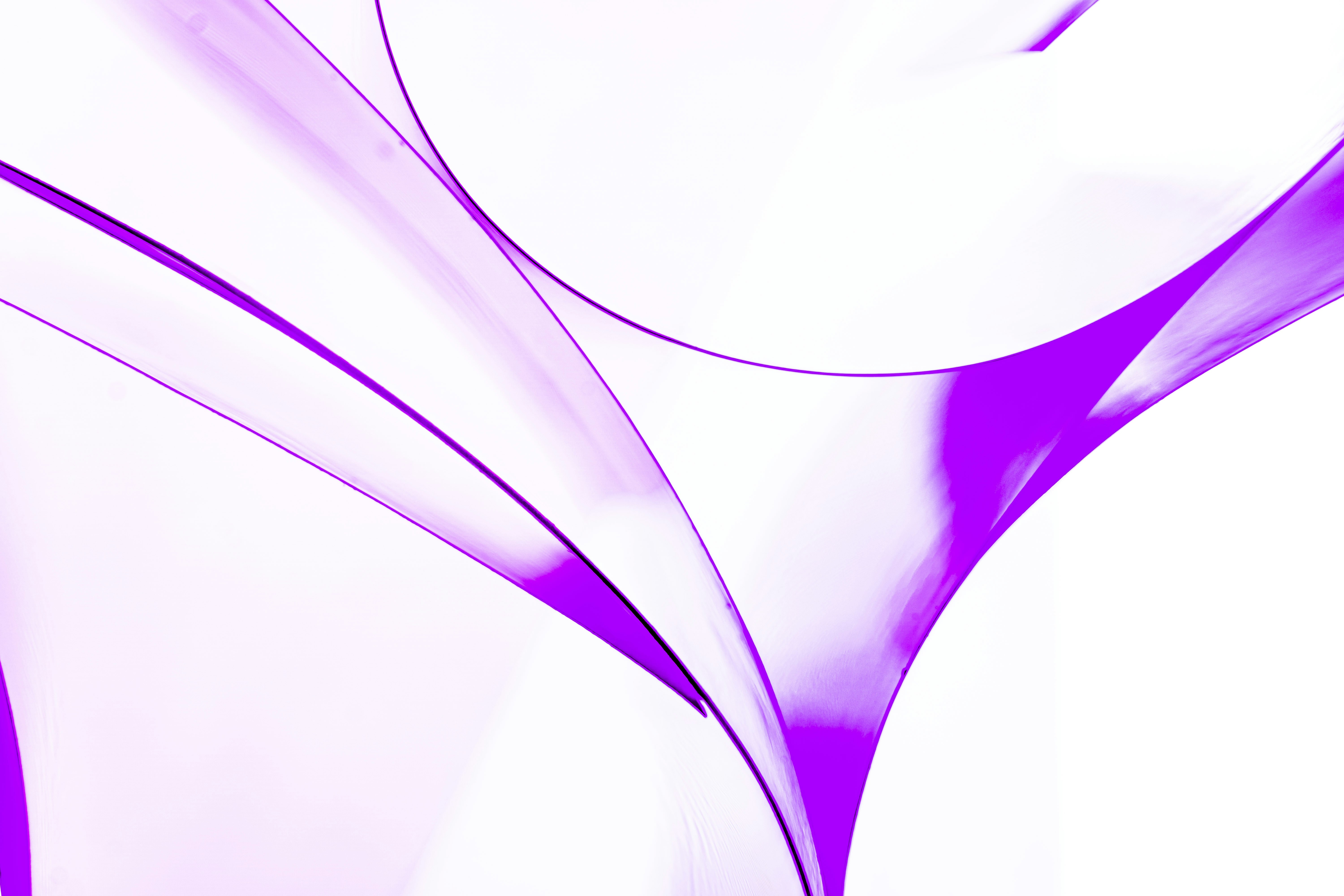 Veiled Arcadia: Silky Purple Curves in High Key Light