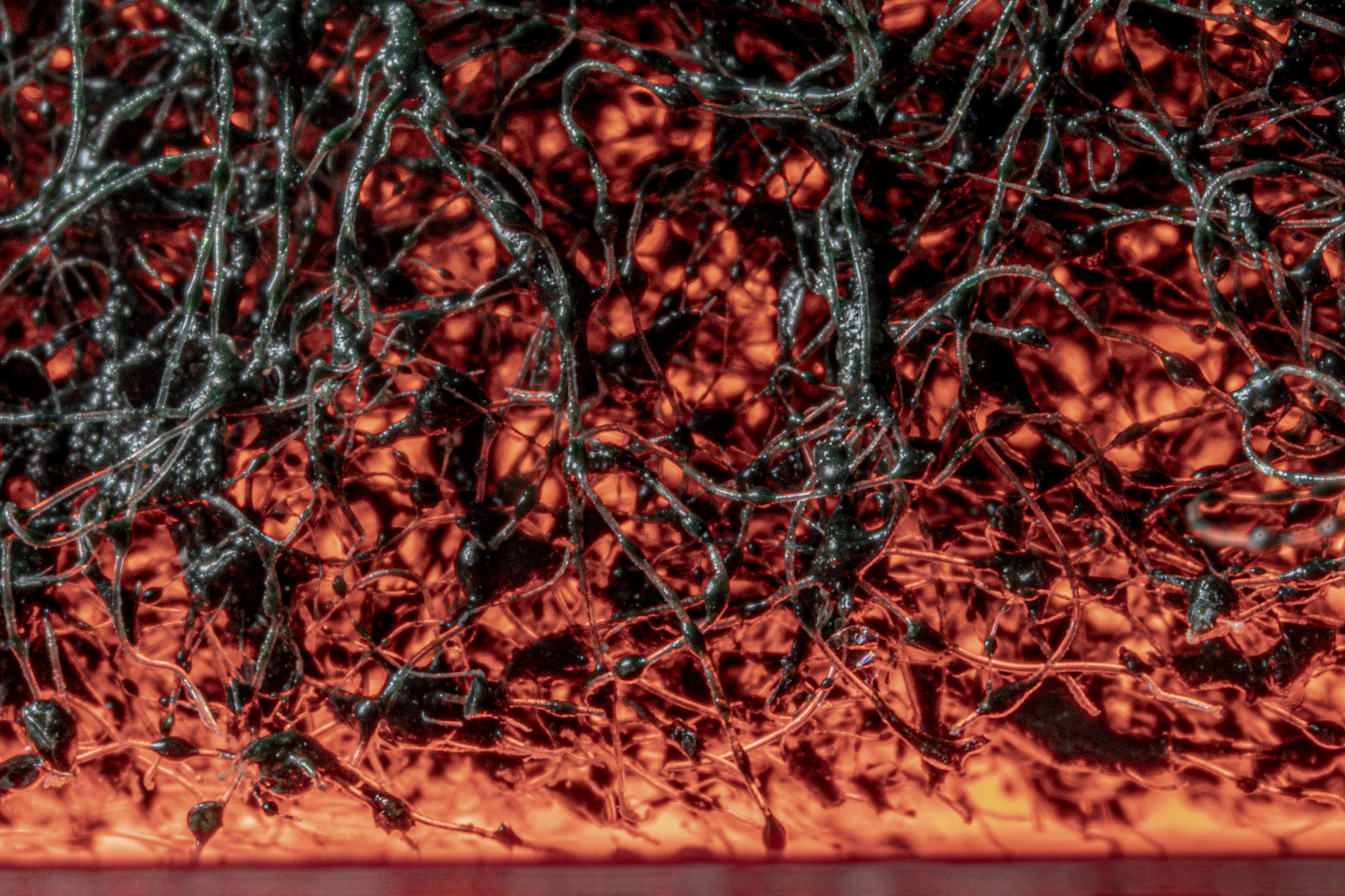 Tangled Ember Tangle: A Close-Up of Fiery Veins