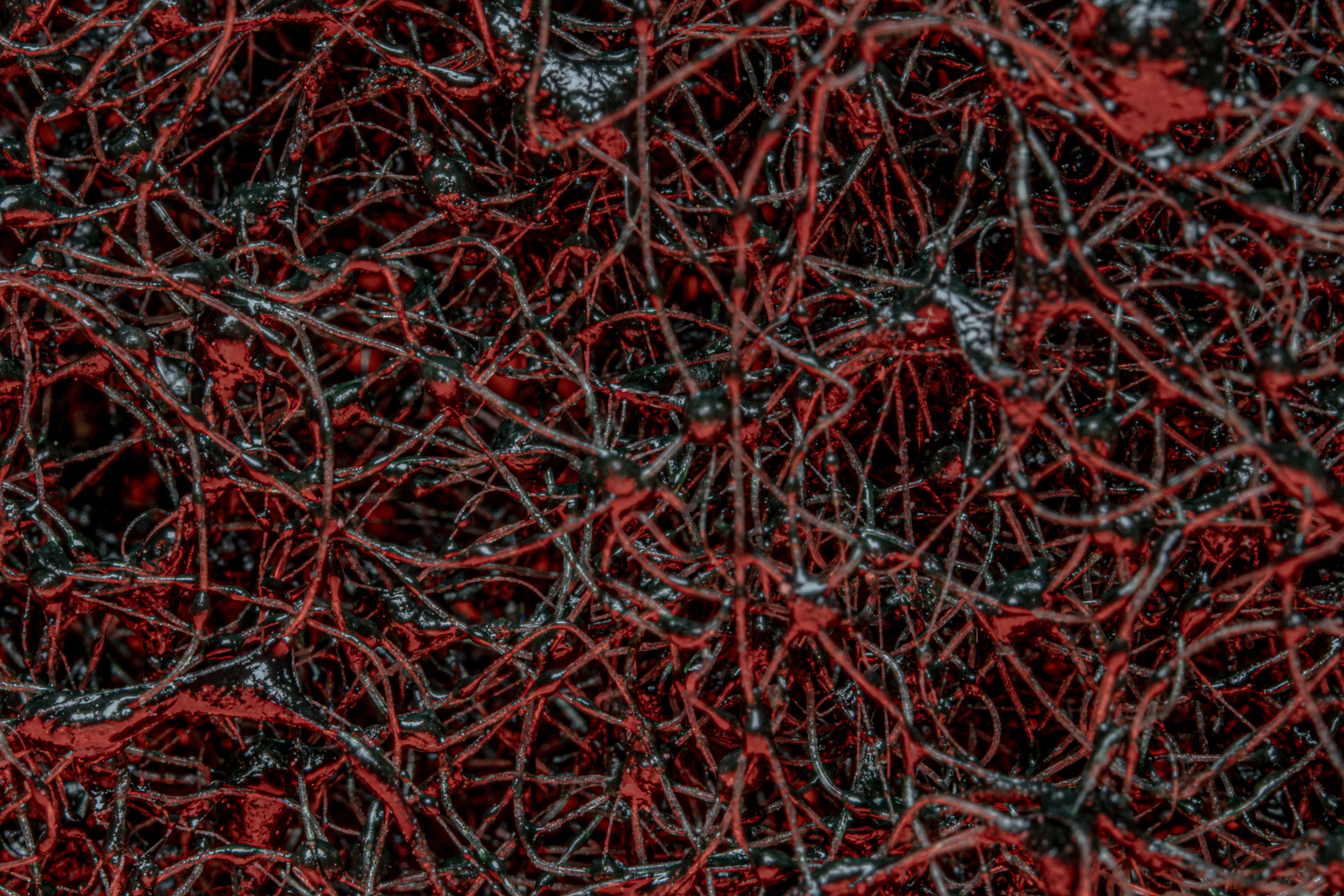 Dense tangle of red strands forms an abstract texture with dark background, highlighting intricate fiber structure and micro-contrast.