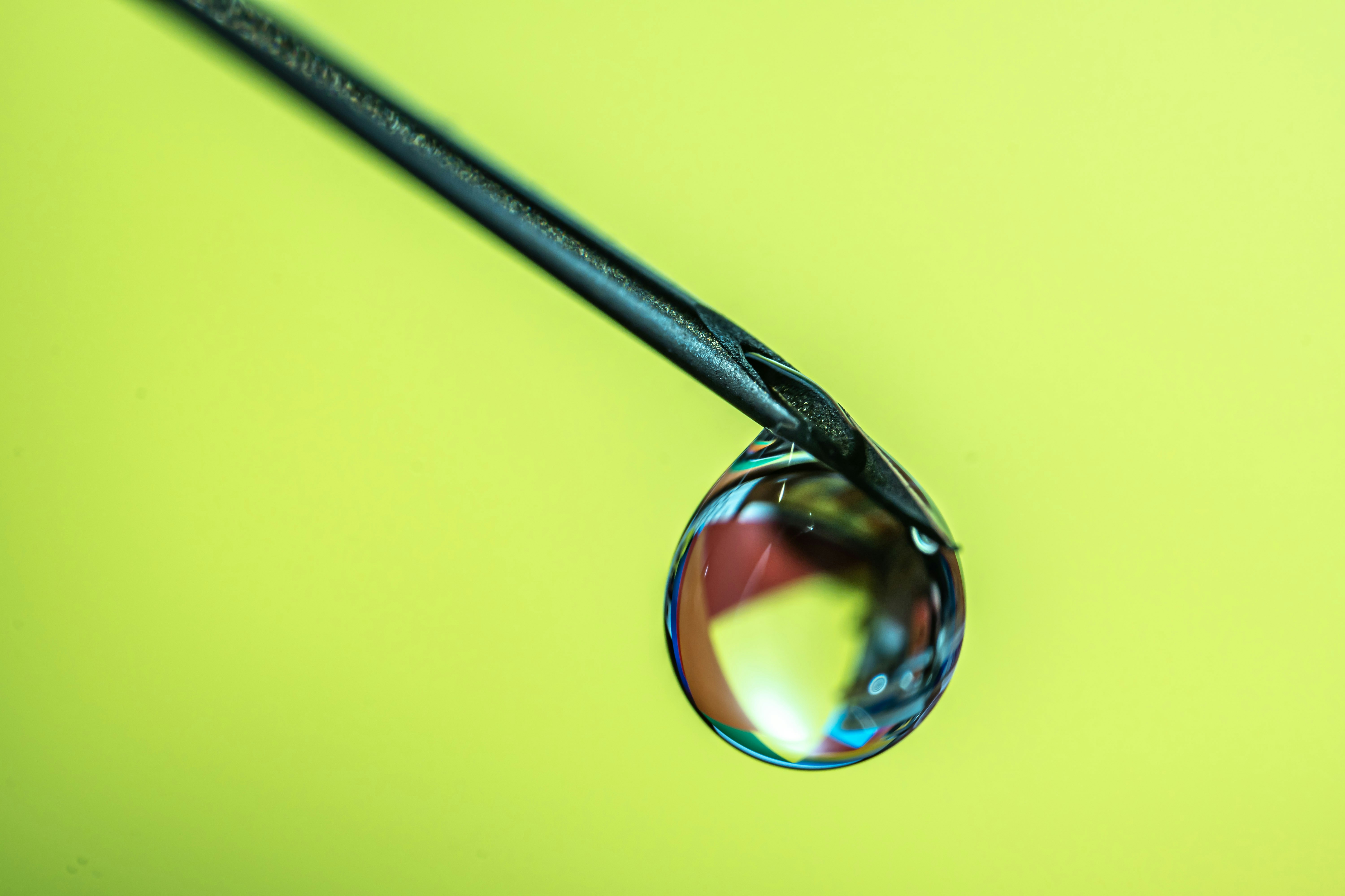 Dewdrop on a Curved Needle: A Tiny Prism in Bright Yellow
