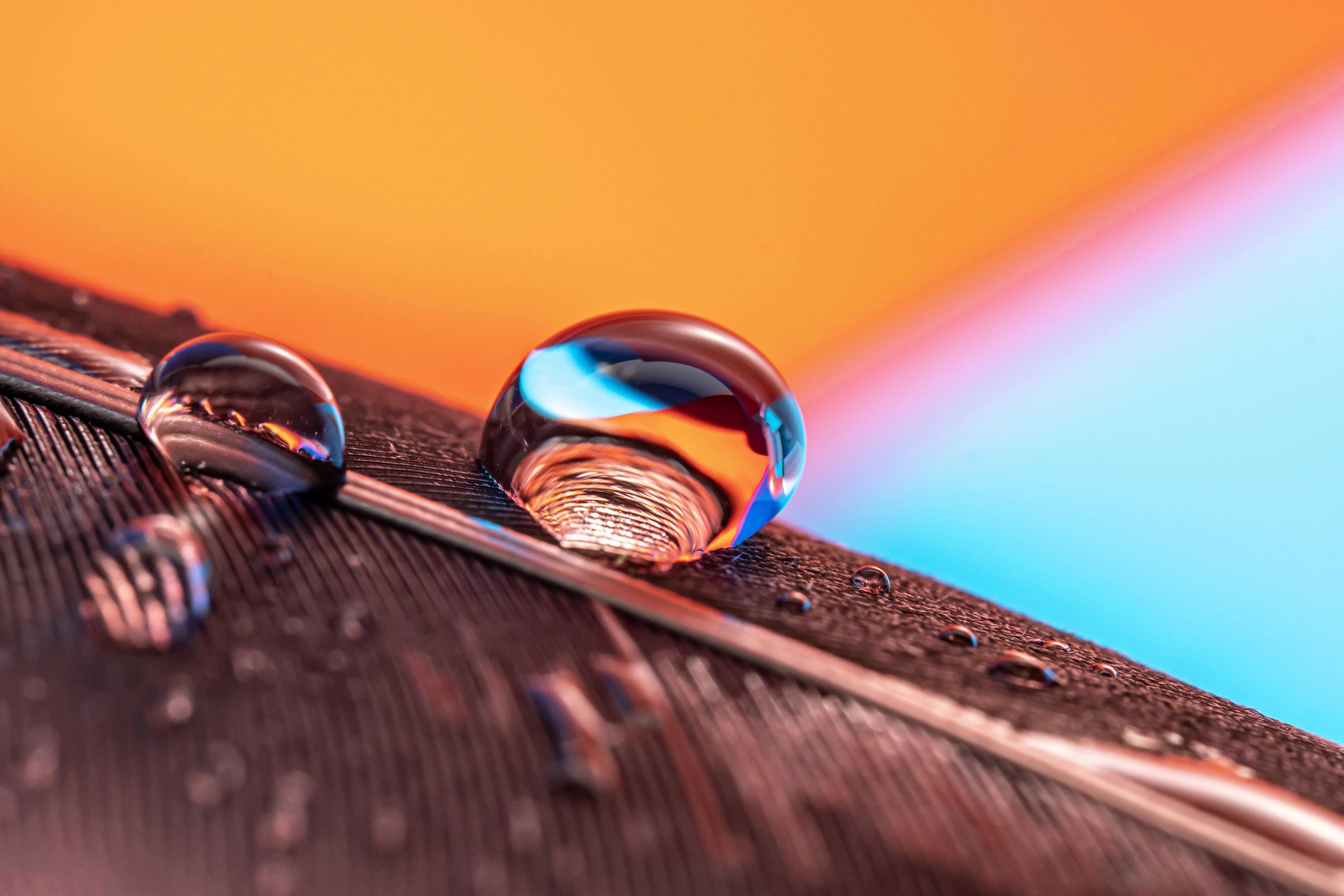 Liquid Mirror: Droplets on a Vibrant Macro Surface
