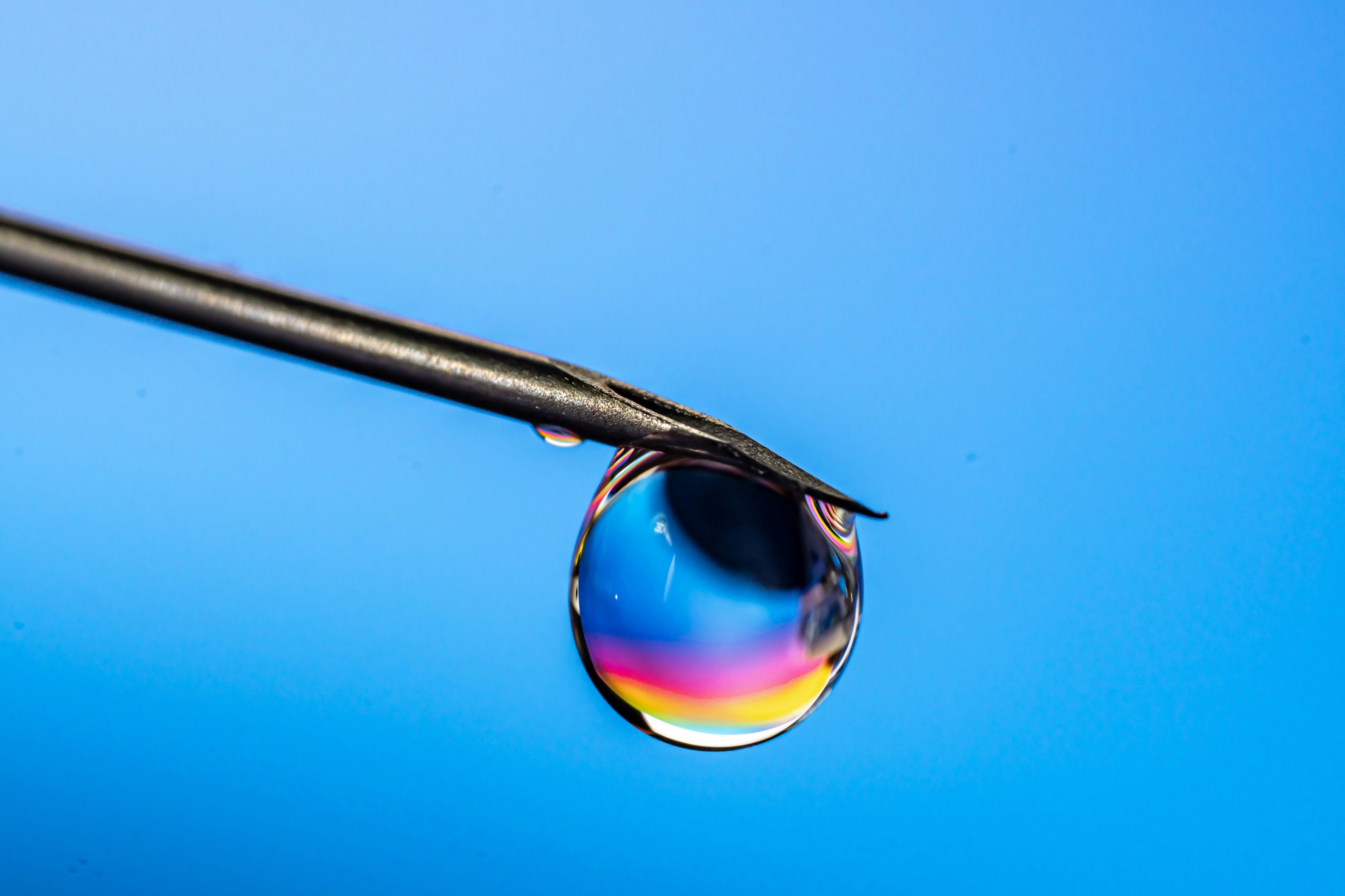 Liquid Prism on a Wire: A Droplet’s Colorful Focus