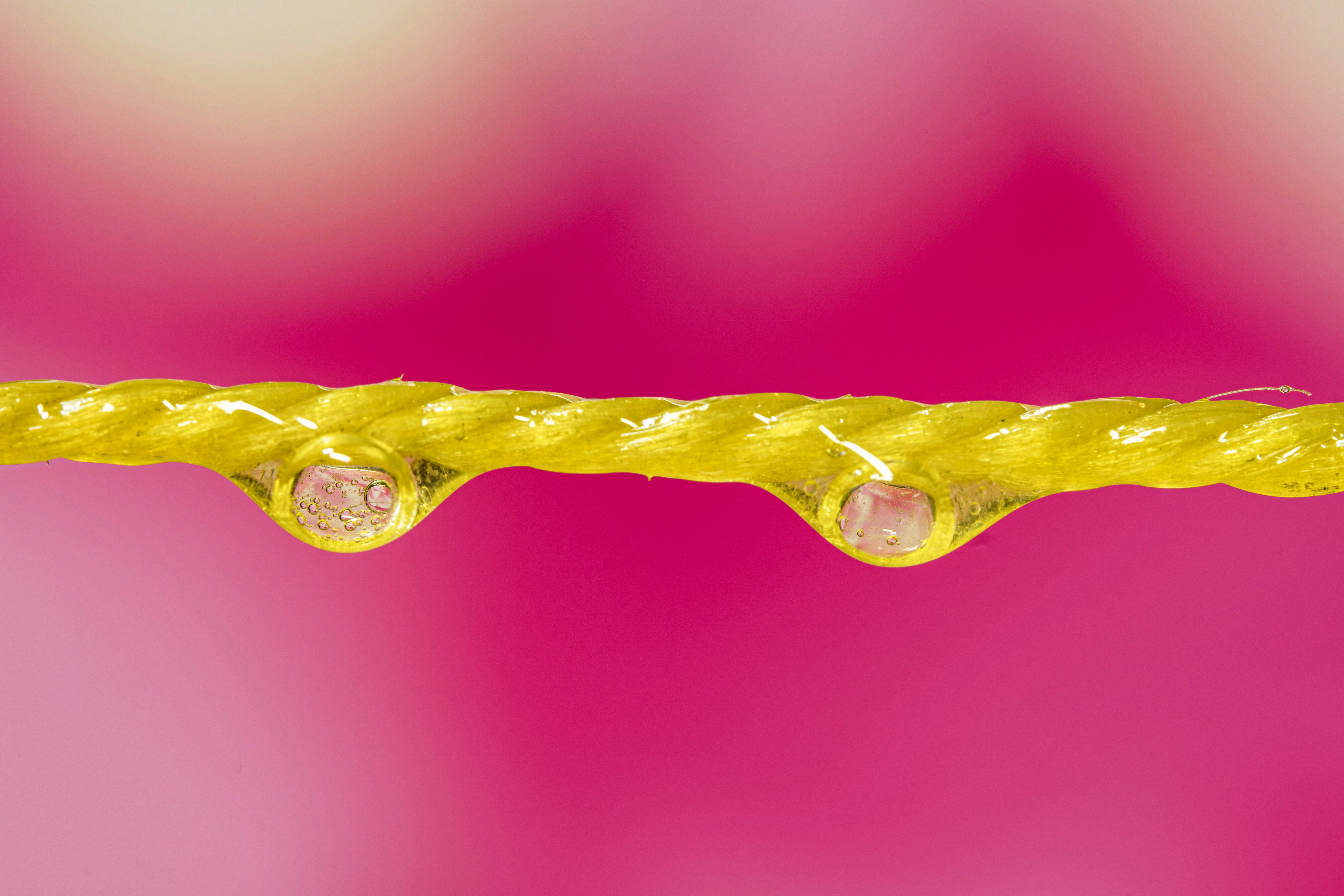 A Golden Thread: Macro Droplets on a Vivid Cable