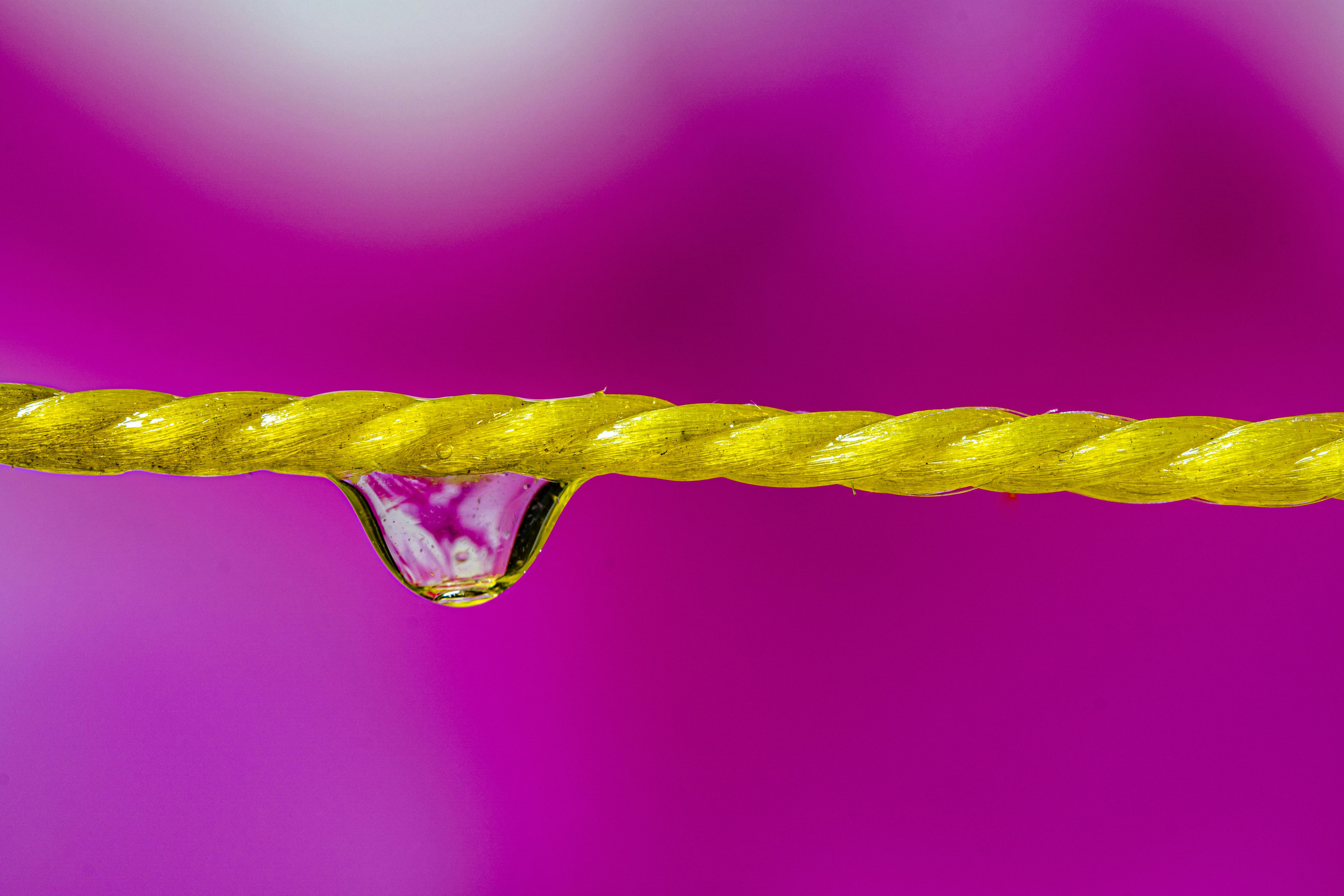 A single golden strand with a crystal drop in sharp focus