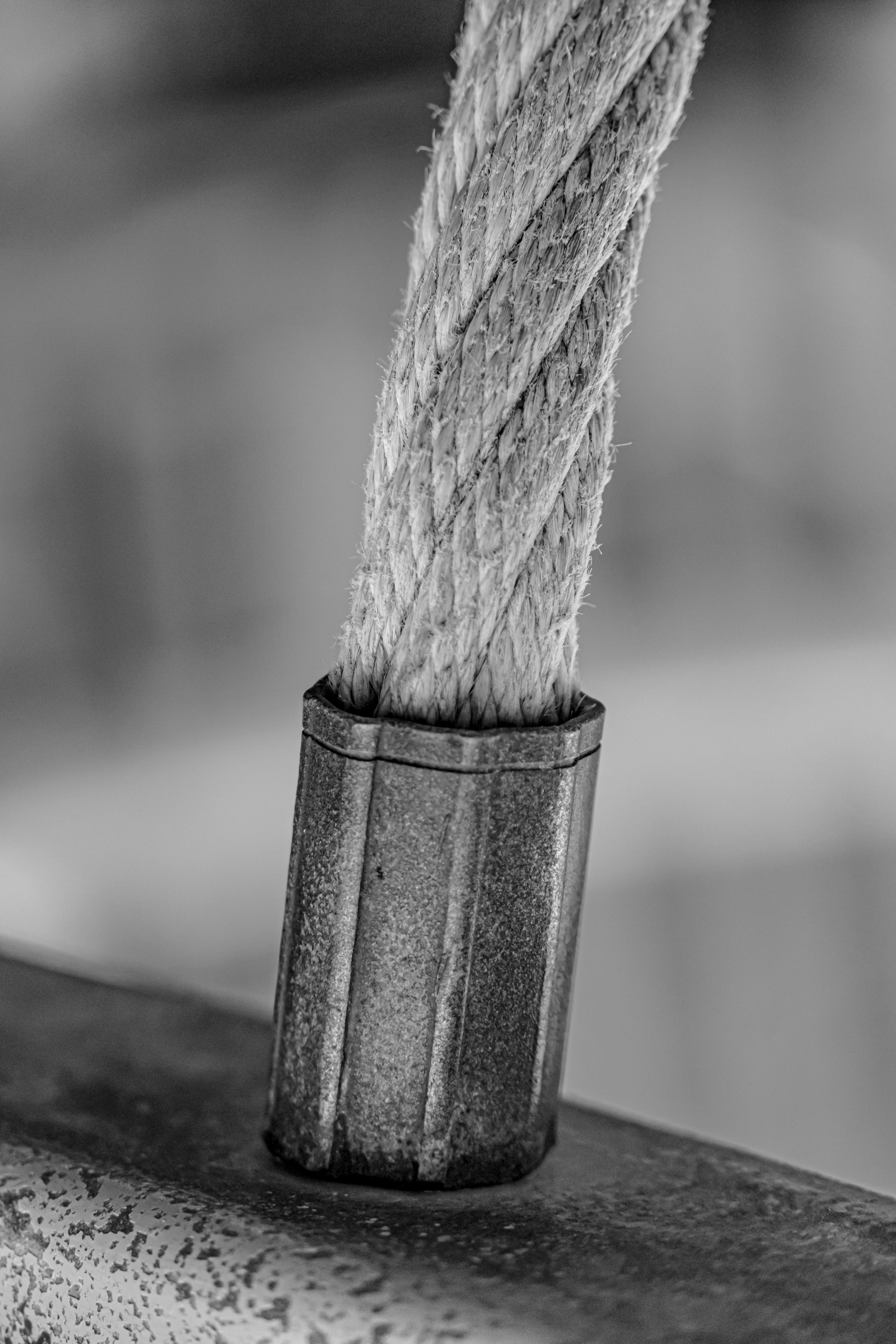 Rope Endeavor: A Close-Up of a Worn Fascia Clinging to a Weathered Post