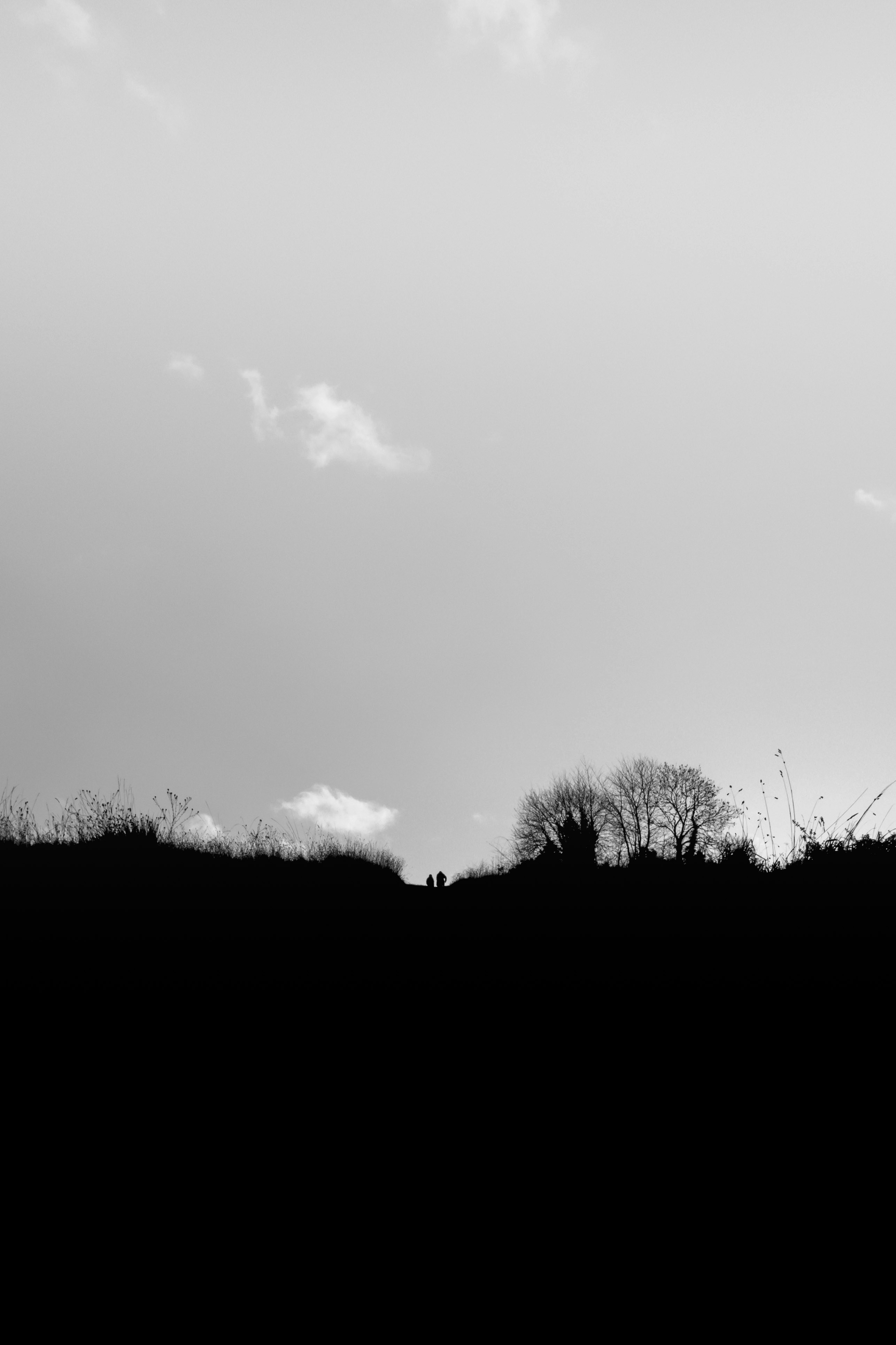 Silhouette on the Horizon: A Lone Figure among Winter Trees