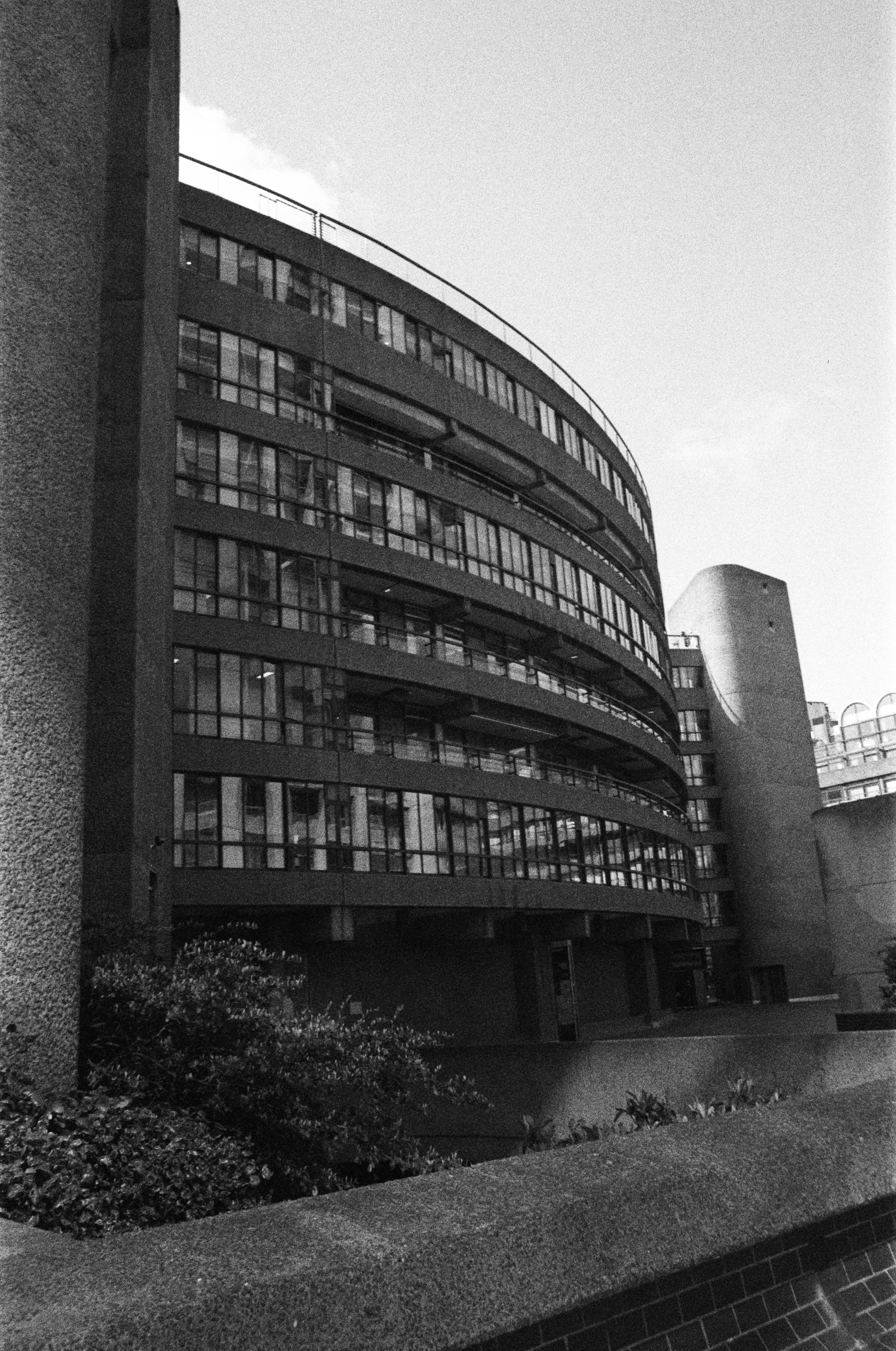 Curved Office Arc: A Monochrome Encounter with Modern Geometry
