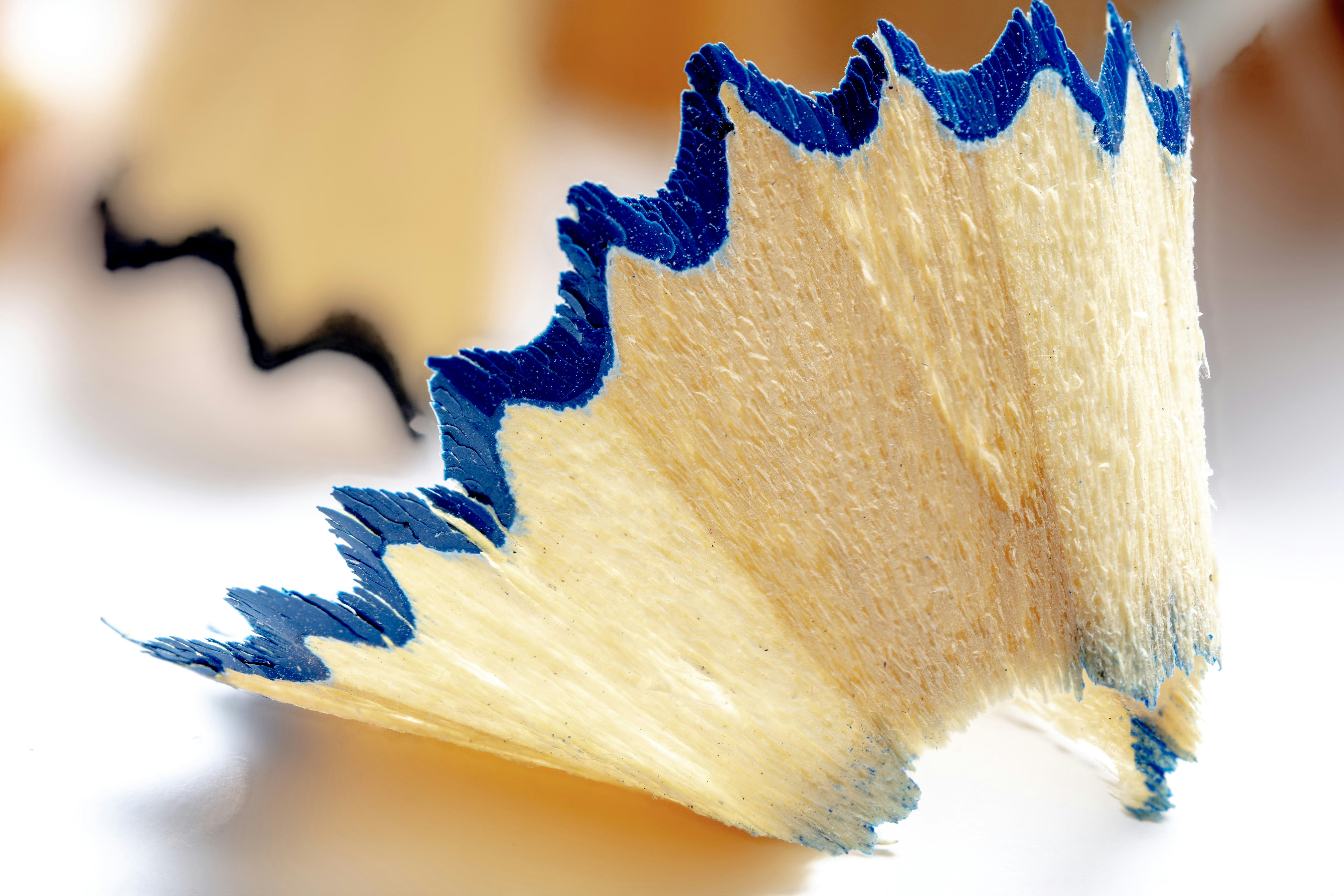 Electric Blue Rims of a Whittled Dream: A Pencil Shaving Portrait