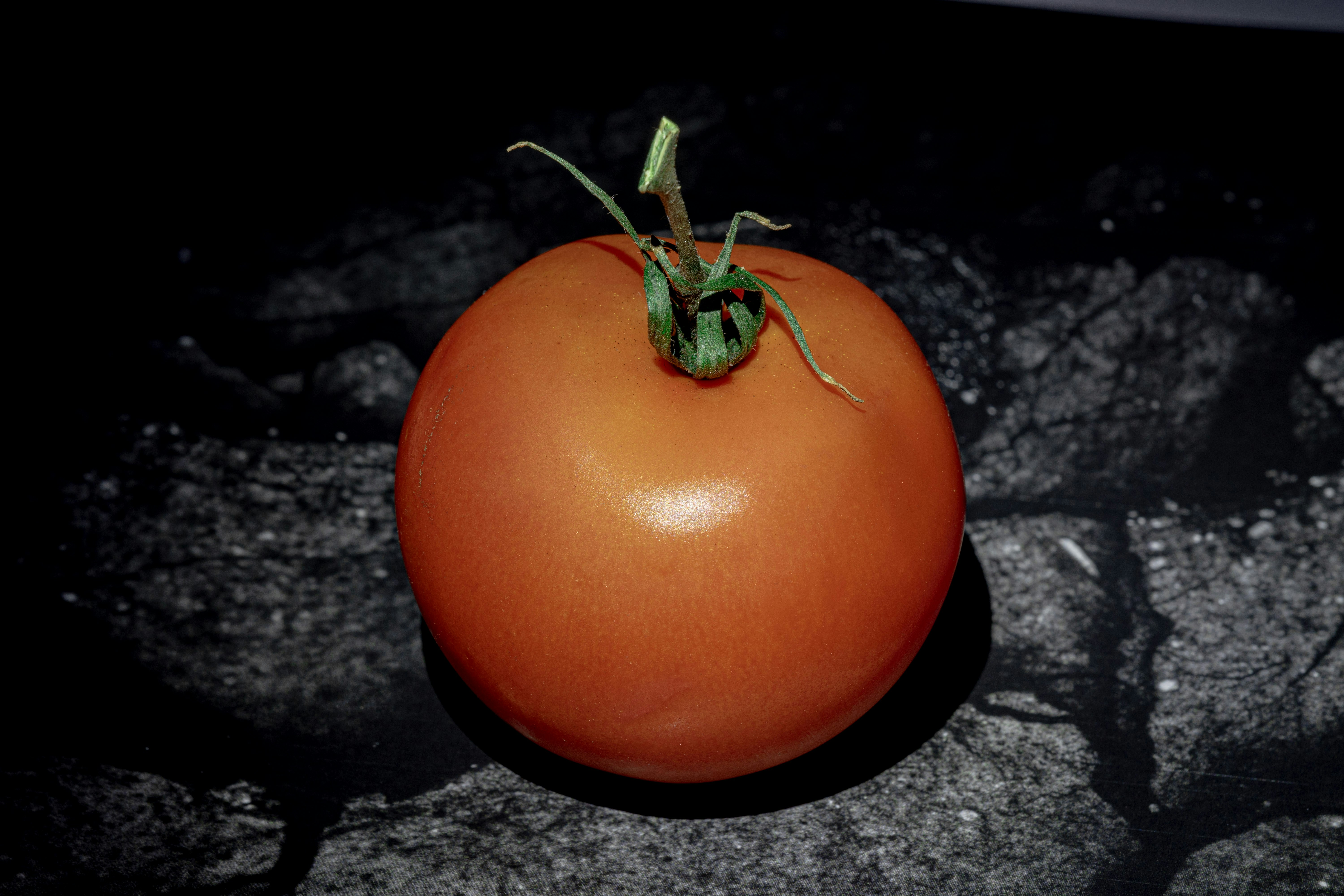 Single Tomato on a Textured Dark Surface
