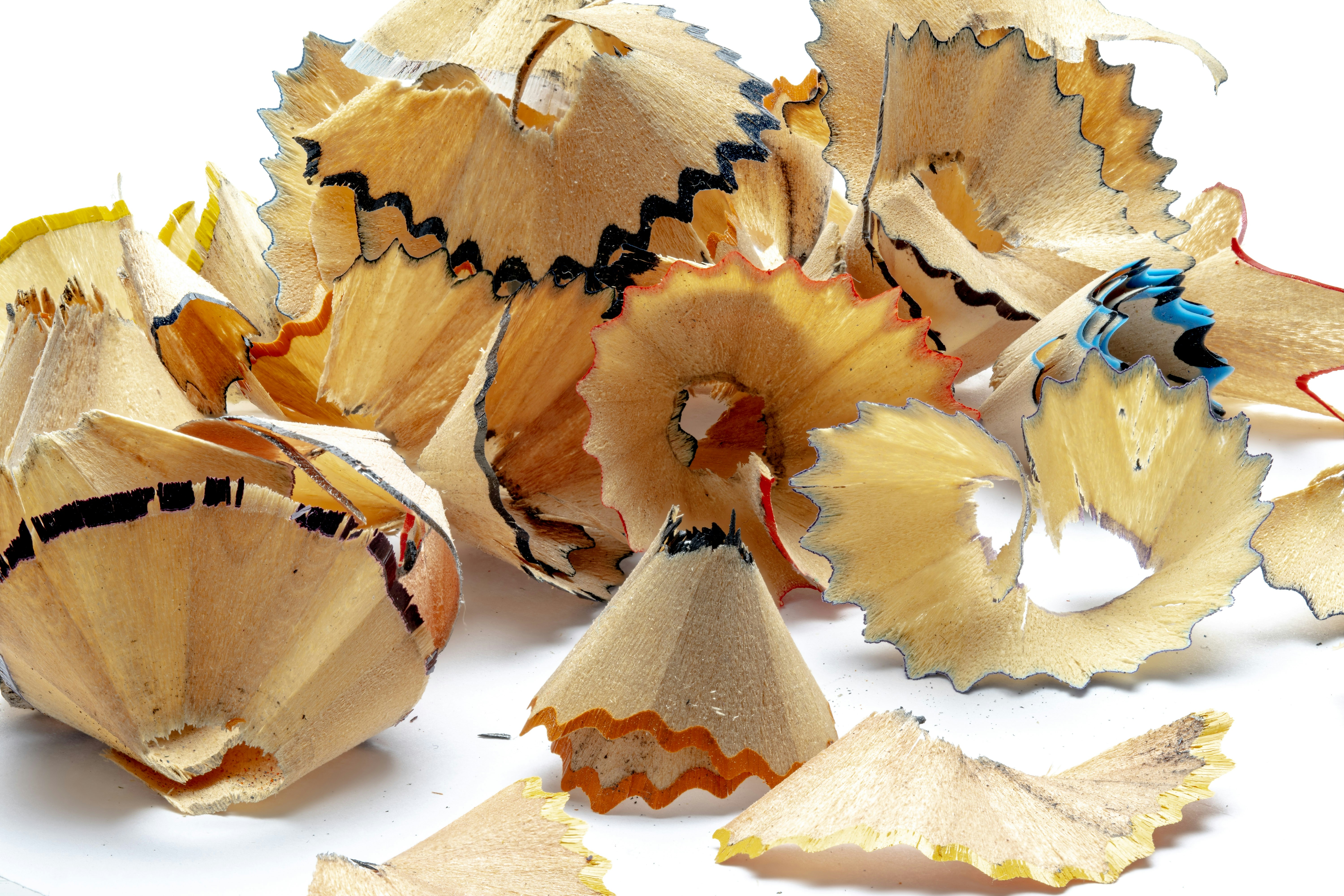 Whorls of Cedar: A Confetti of Pencil Shavings