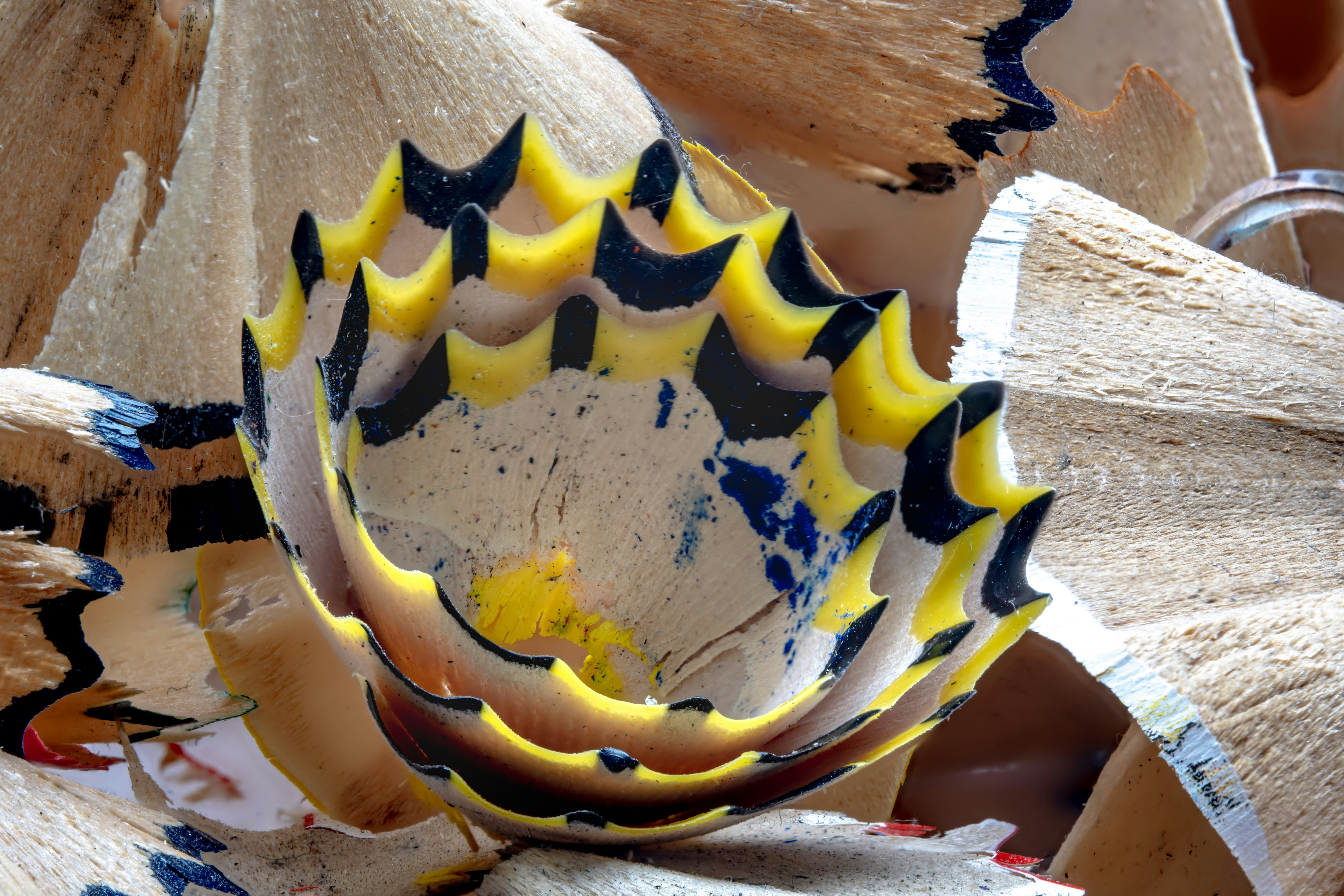 Spiral of Shavings: A Painted Wood Core in Focus