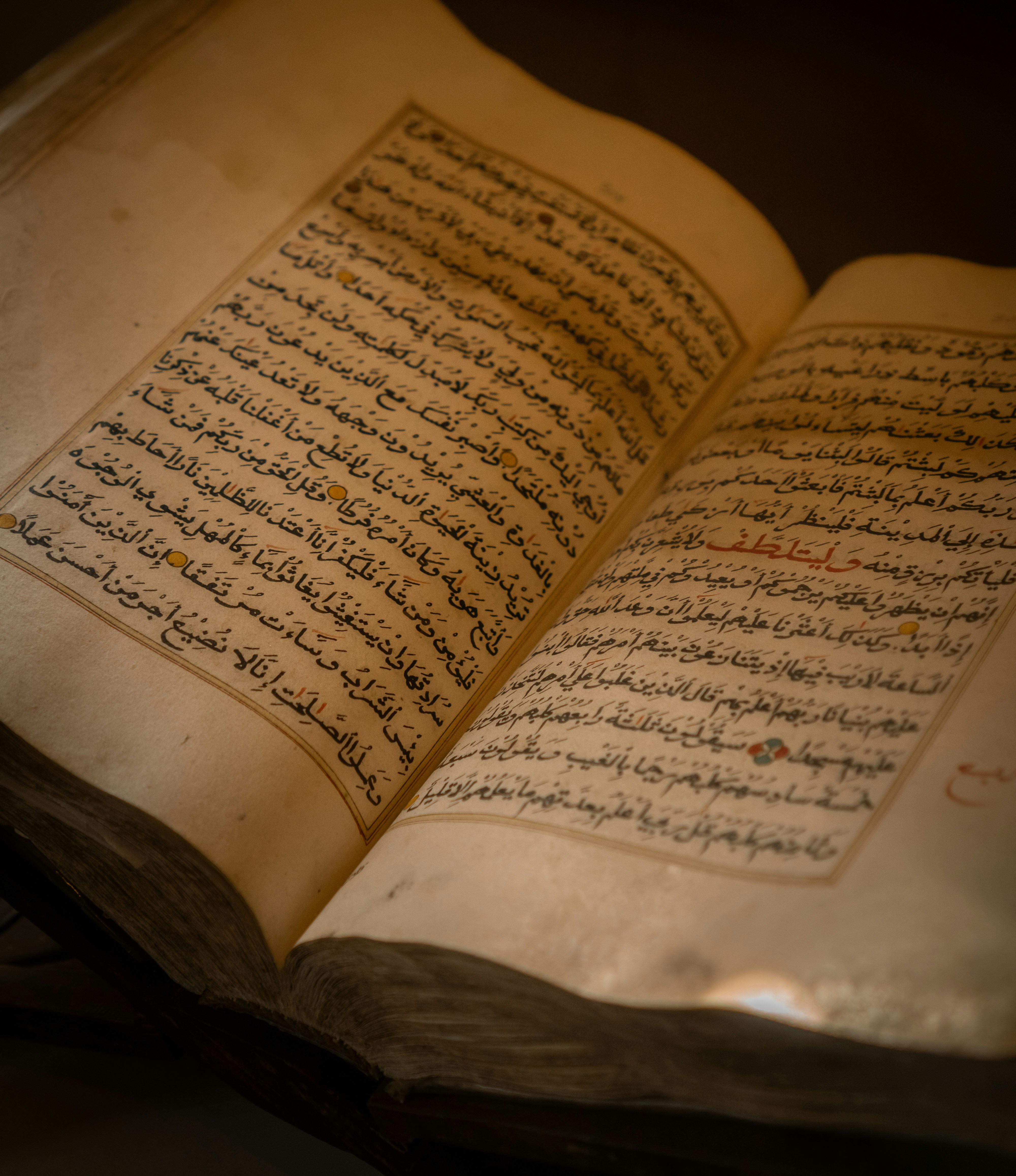 Aged Pages Unfold Their Secrets Under Warm Light