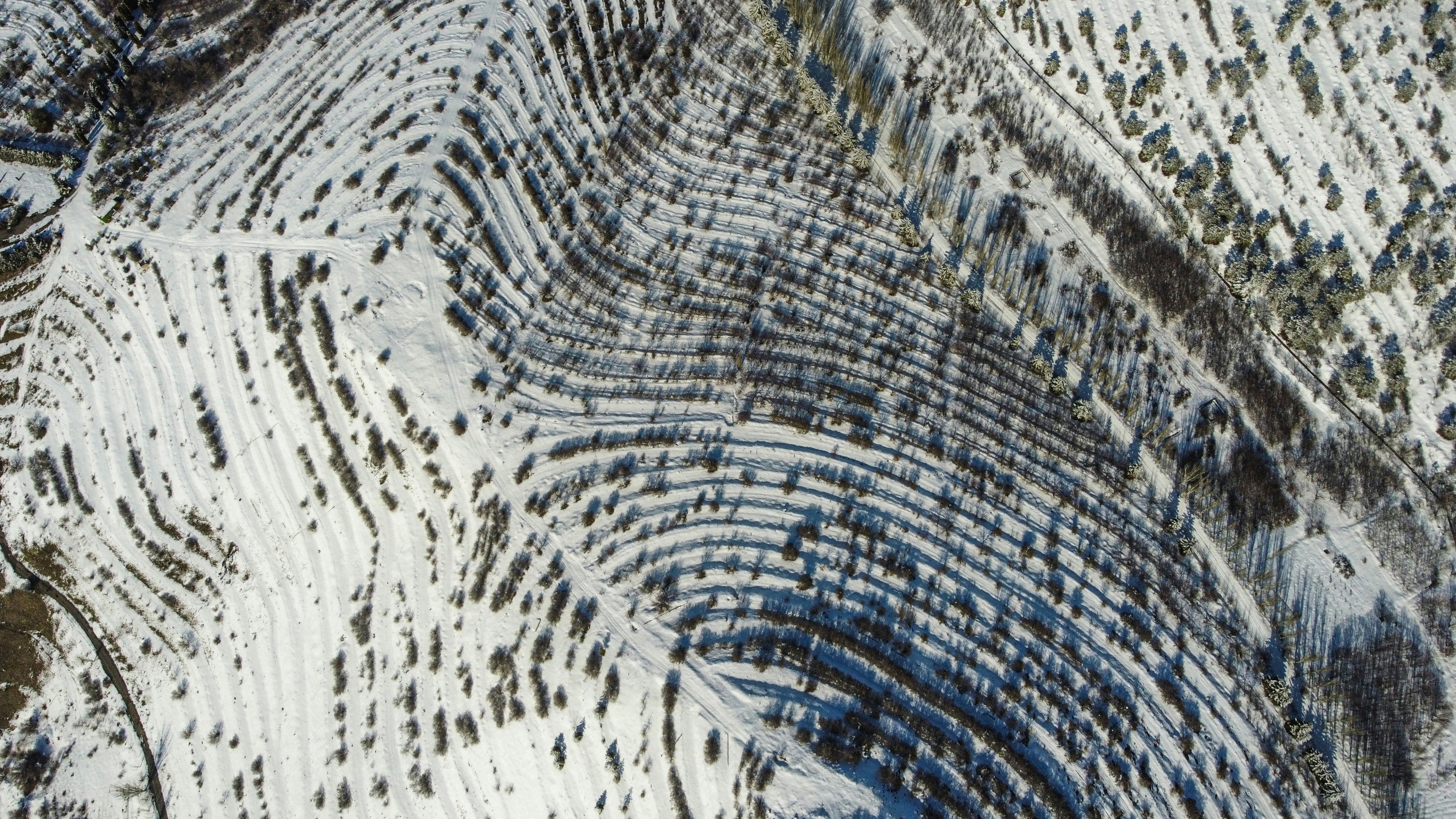 Rings in the Snow: Concentric Strata of a Snowfield