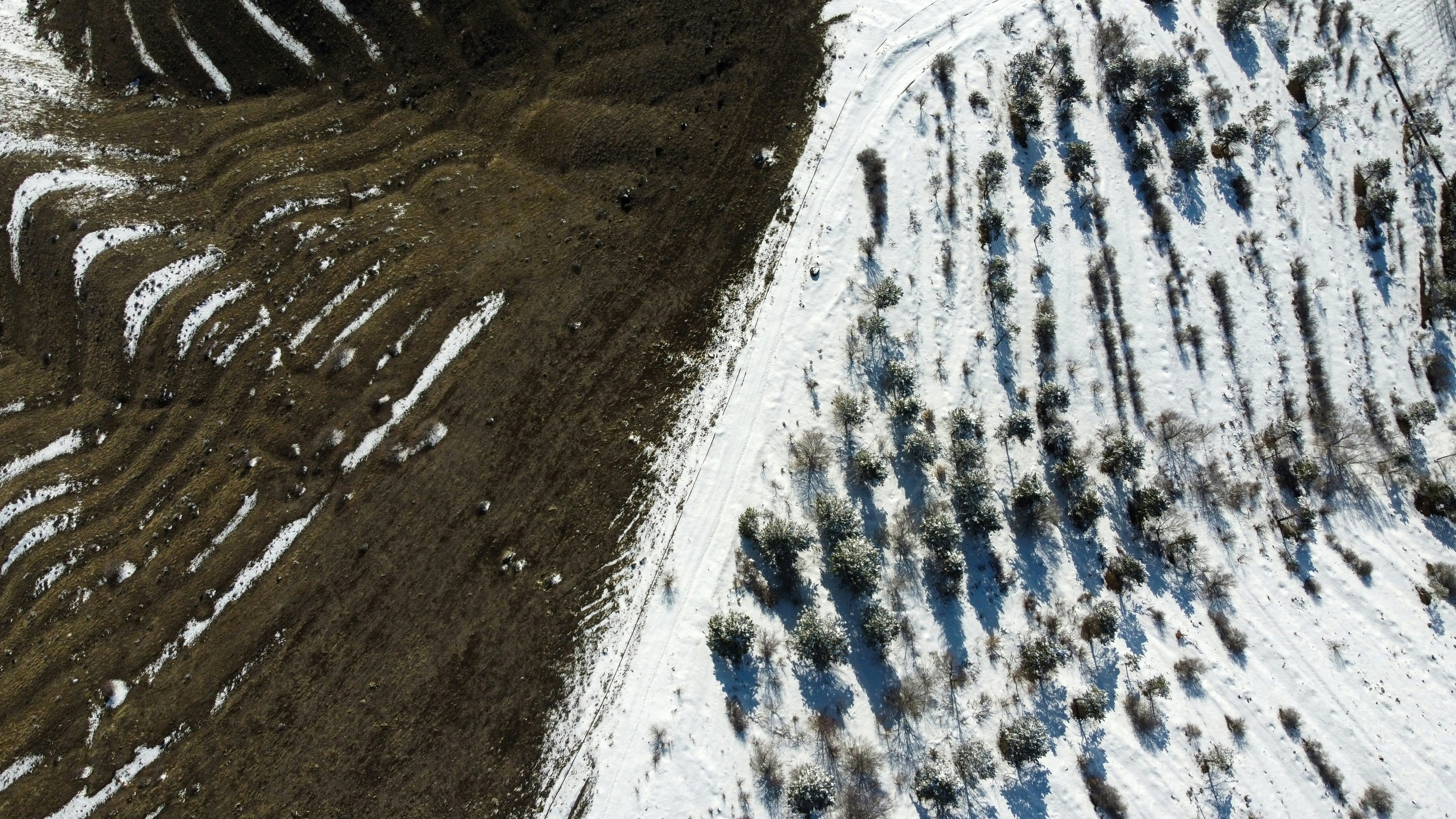 Snow-Curved Field Meets Dark Earth: A Contrasting Tundra Terrace