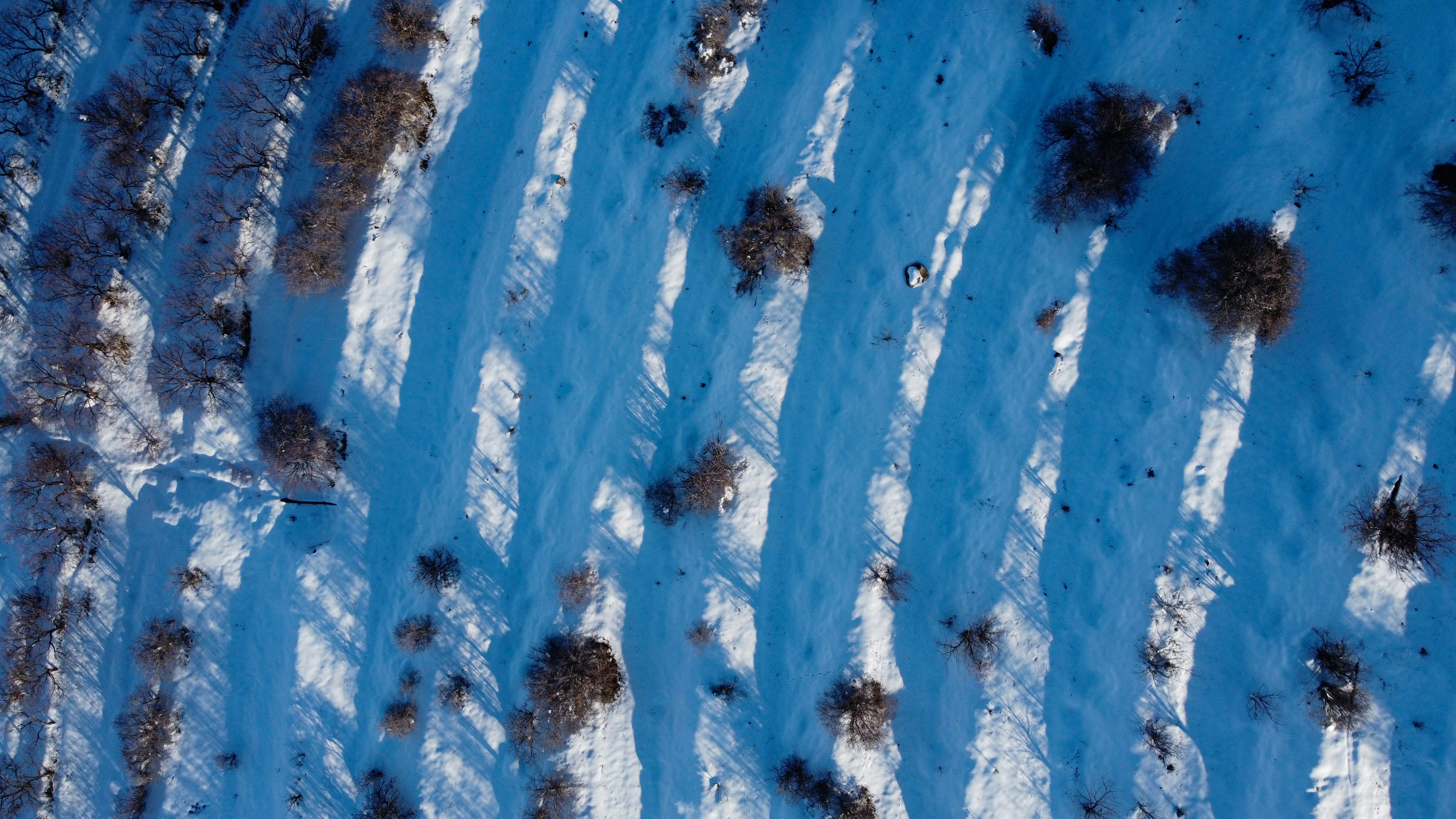 Aerial stripes: snow-dusted fields under a blue winter sky