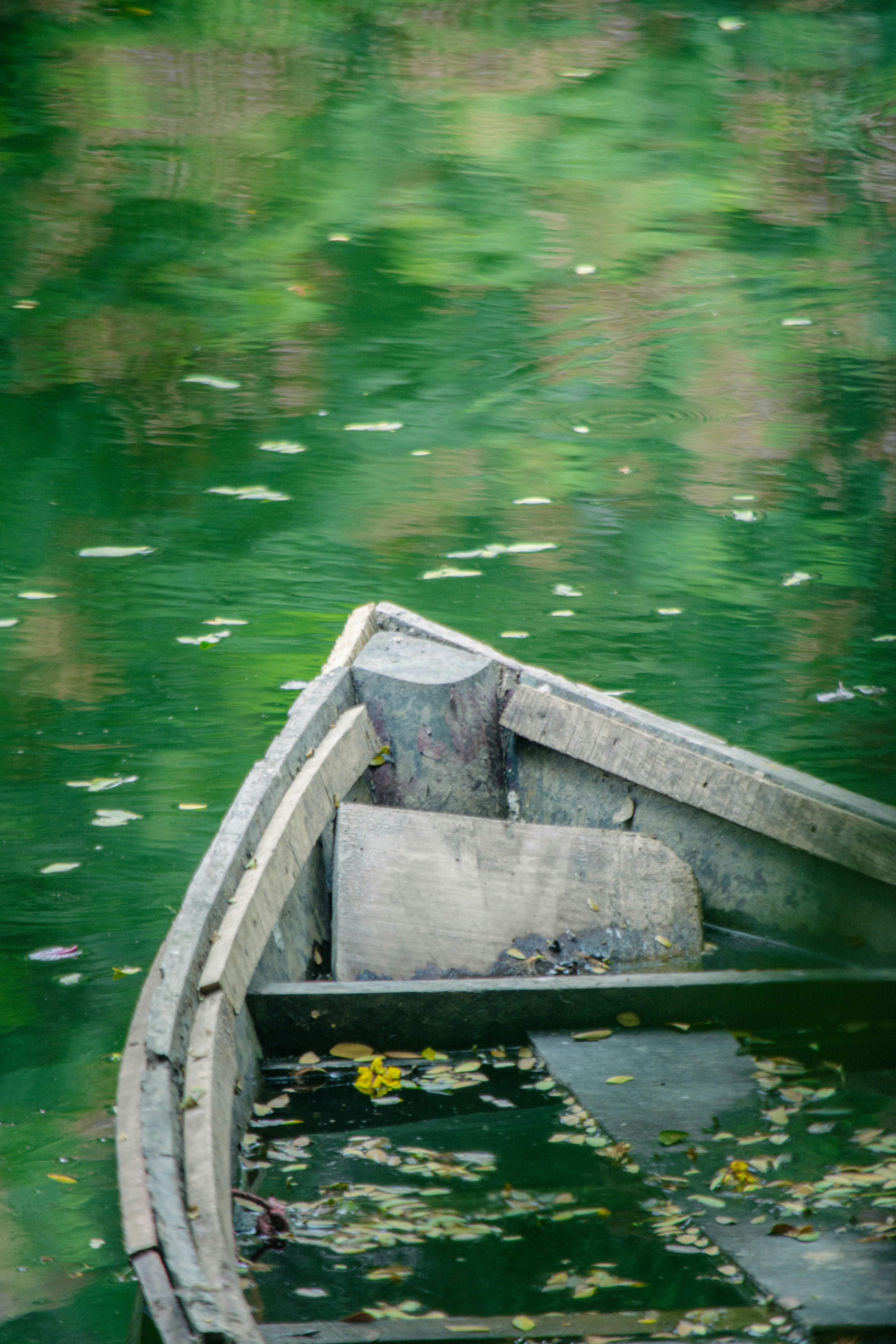 Green Reflections and Wooden Vessel