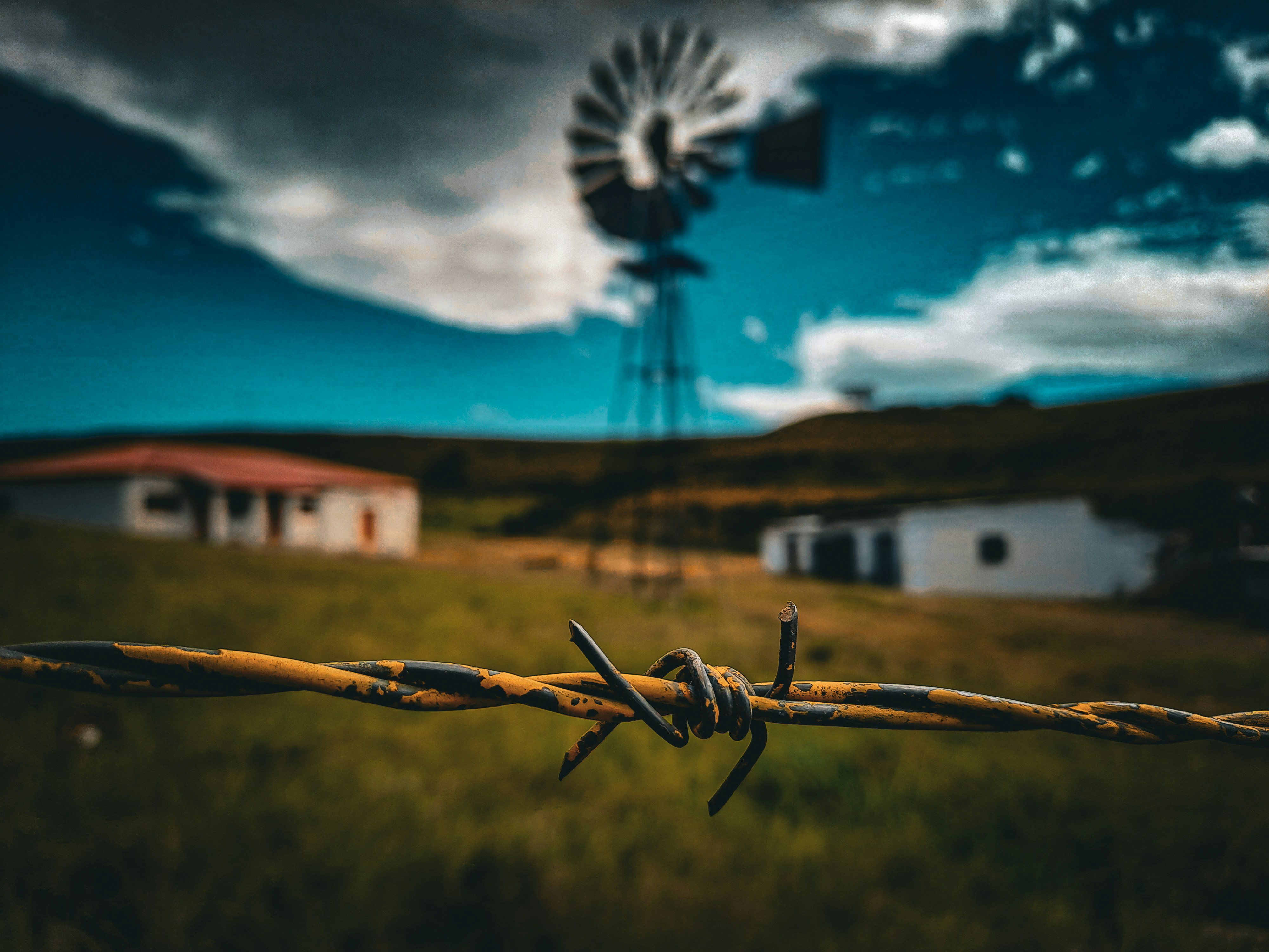 Barbed Dawn over the Windmill Farm