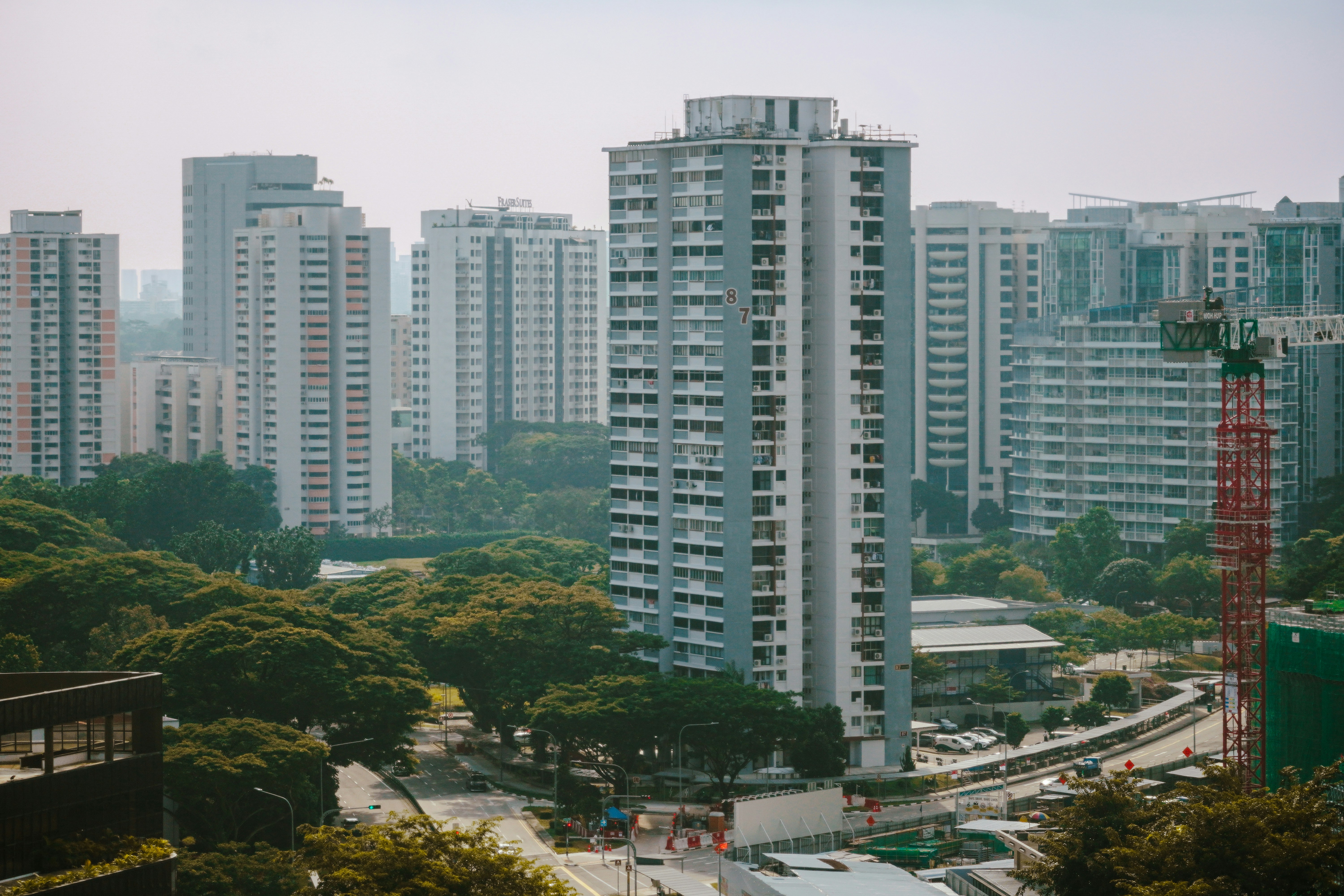 Skyline in Focus: A Towering Cityscape Between Green Canopies