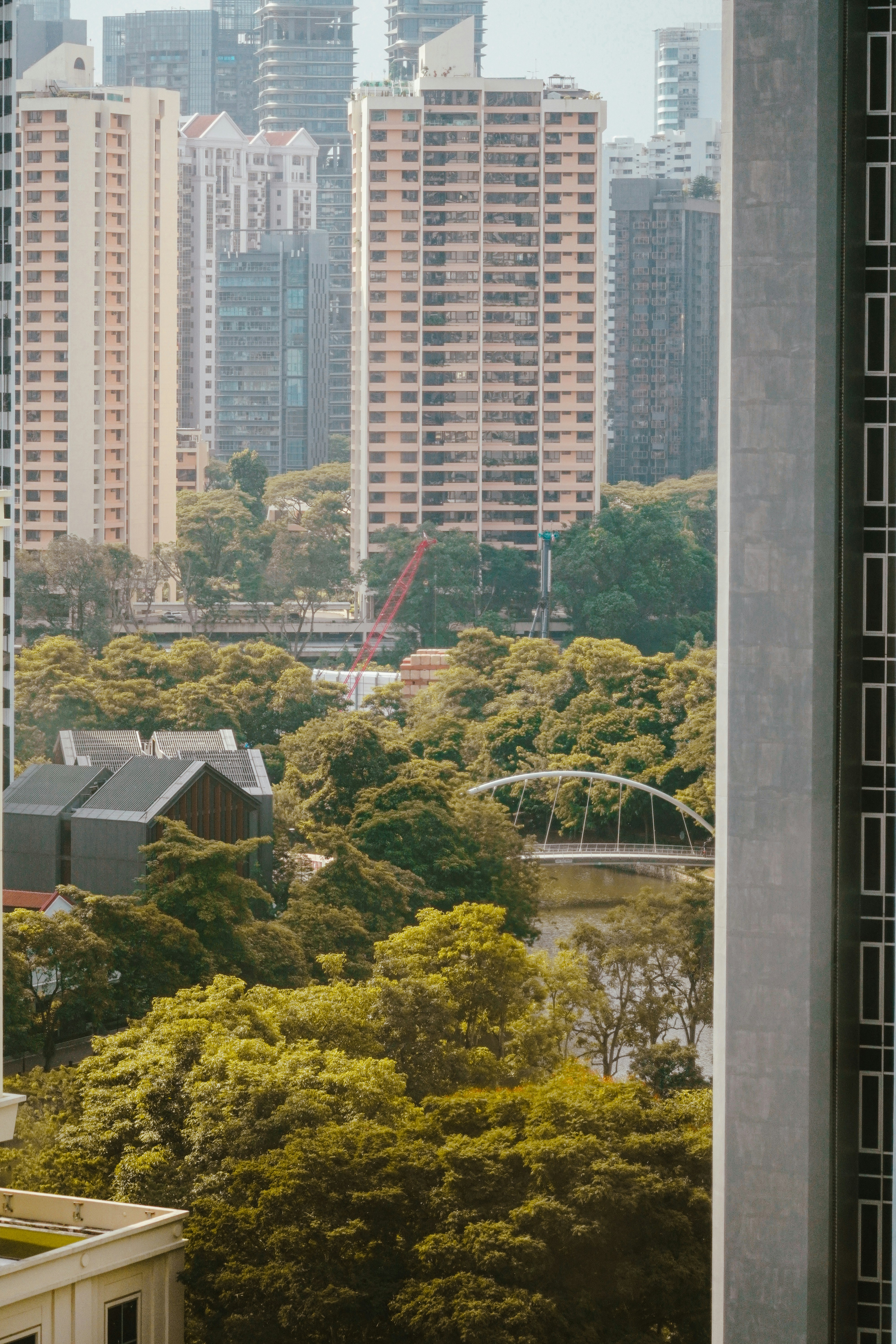 City Forest: Vertical Pulse Between Glass and Green