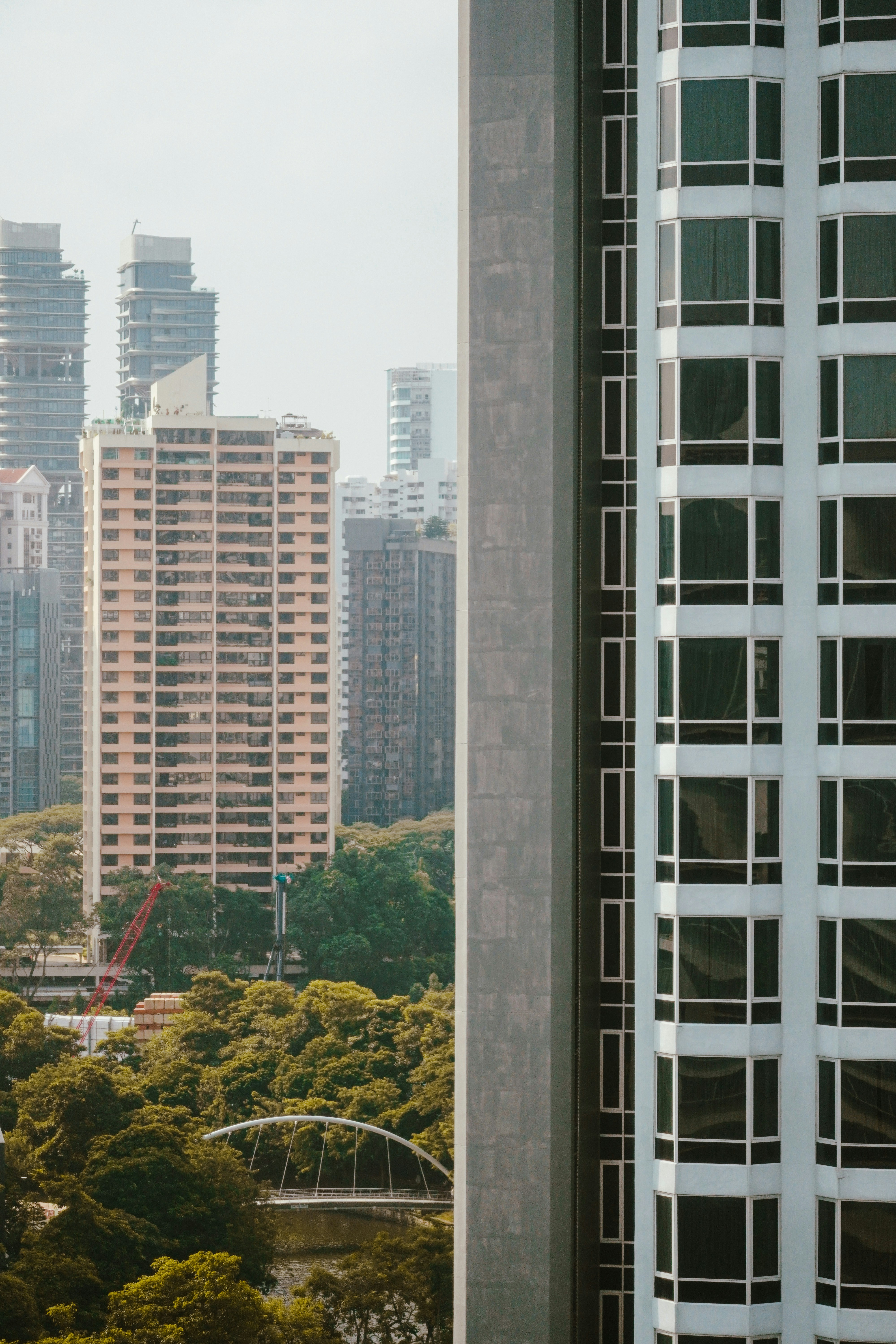 Vertical Cityscape: Glass-and-Concrete Towers Framing a Green Pocket