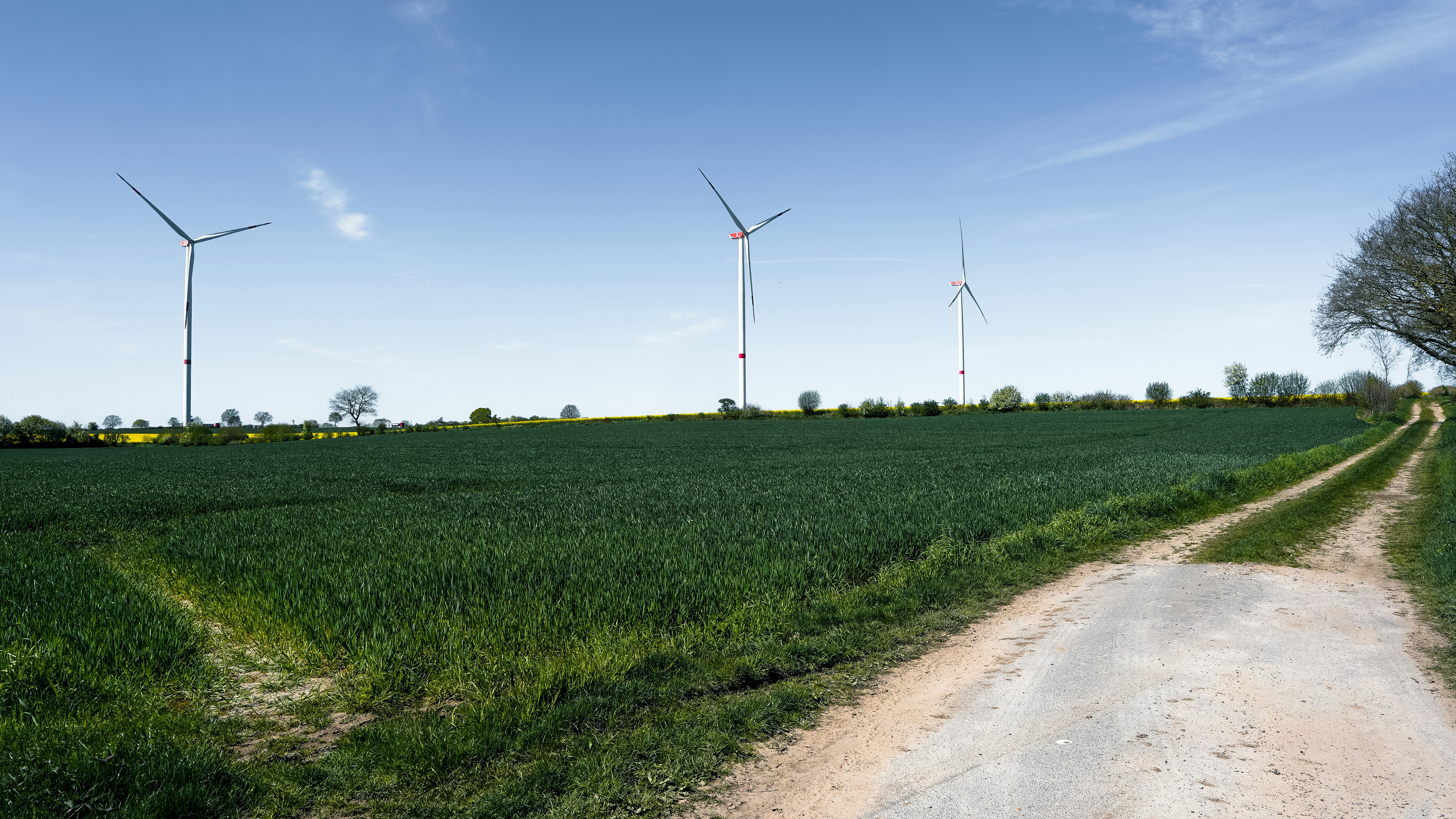 Wind Turbines on a Ribbon of Farm Road