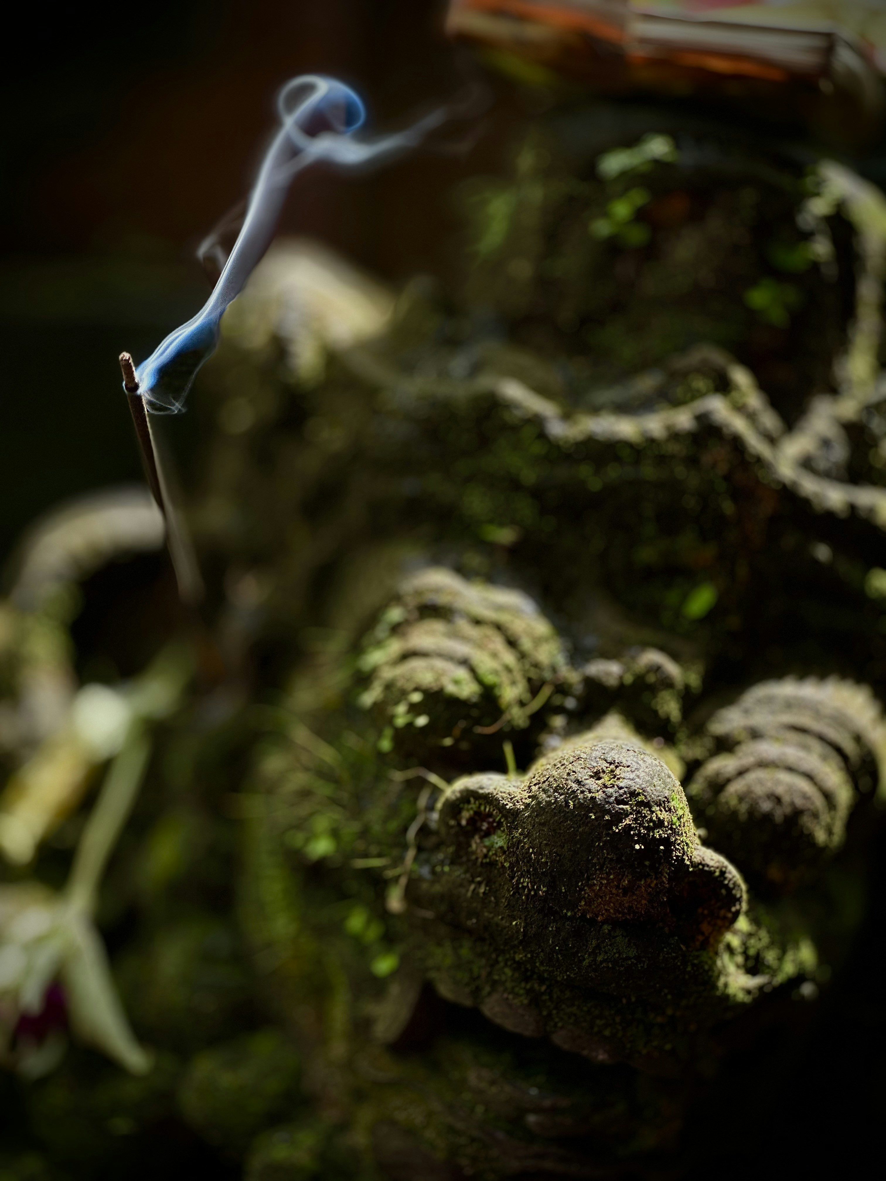 Whisper of Smoke Above an Ancient Moss-Cloaked Shrine