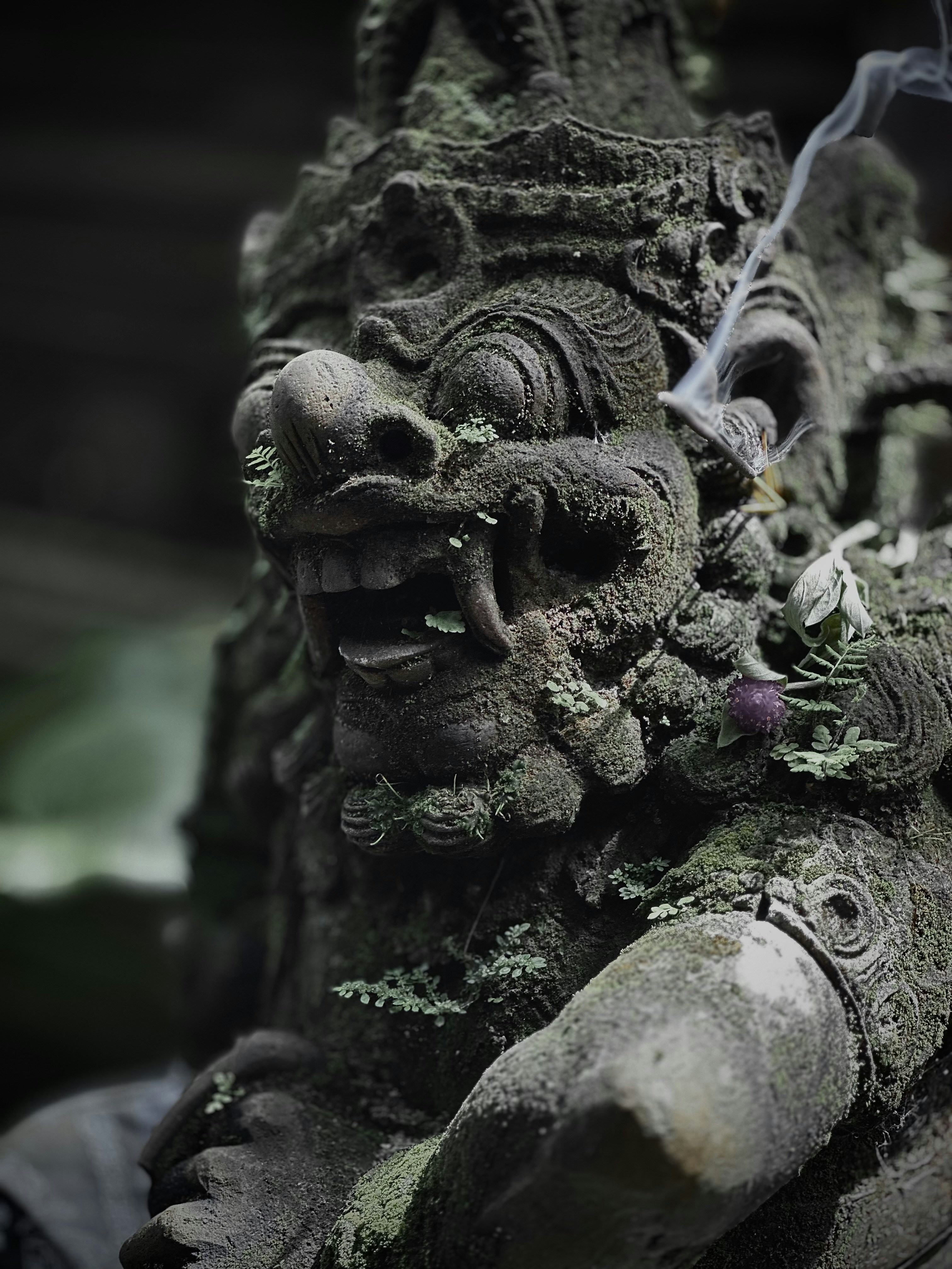 Moss-Covered Guardian: A Stone Dragon Emerges from the Shadows