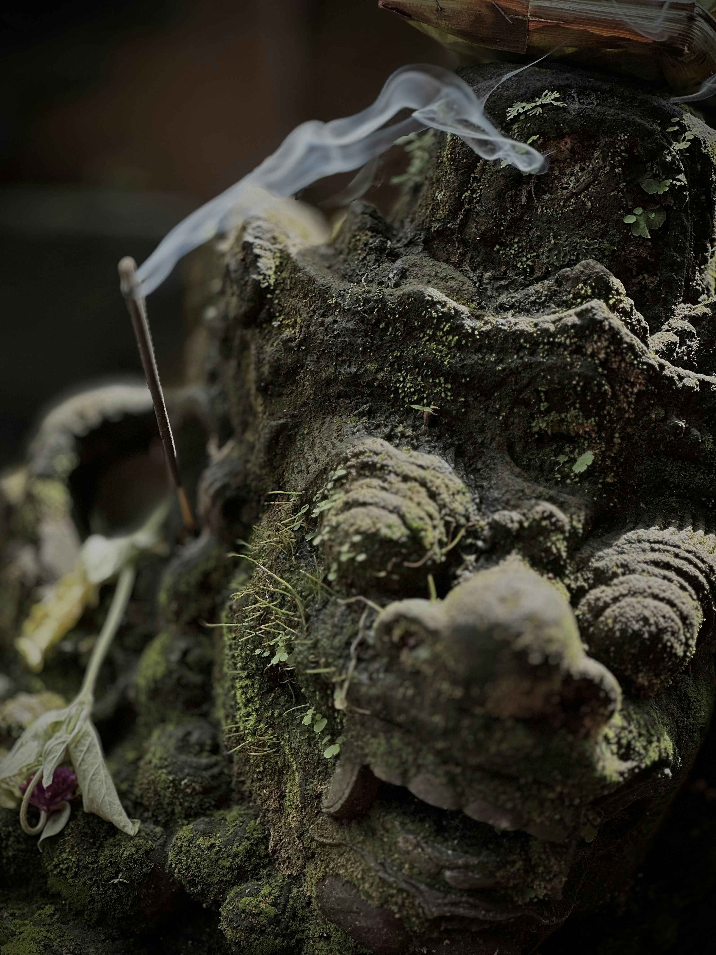 Moss-clad guardian: a weathered sculpture kissed by fog and time