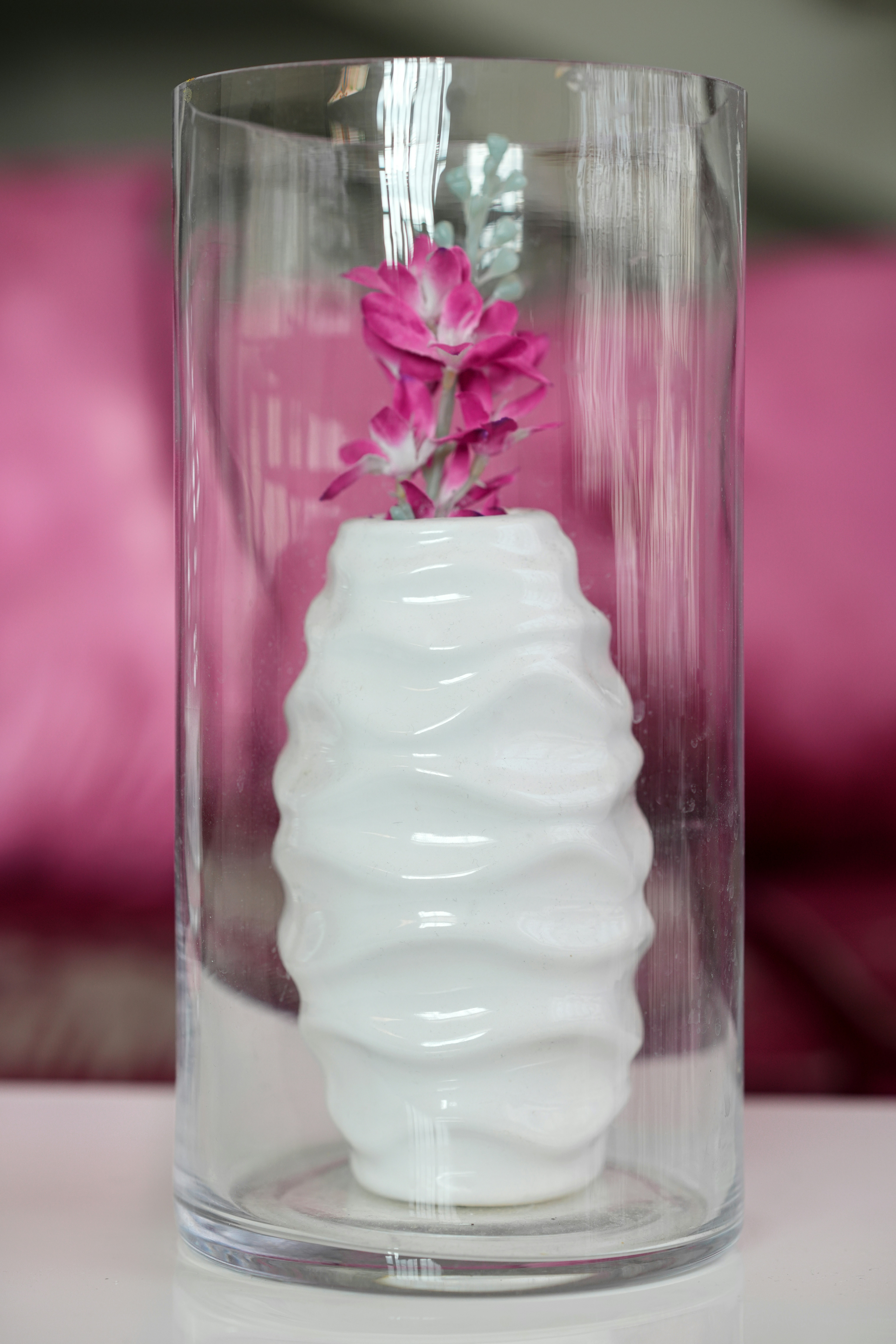 Vase in Glass Cylinder: Pink Flower Emerging from White Ceramic Form