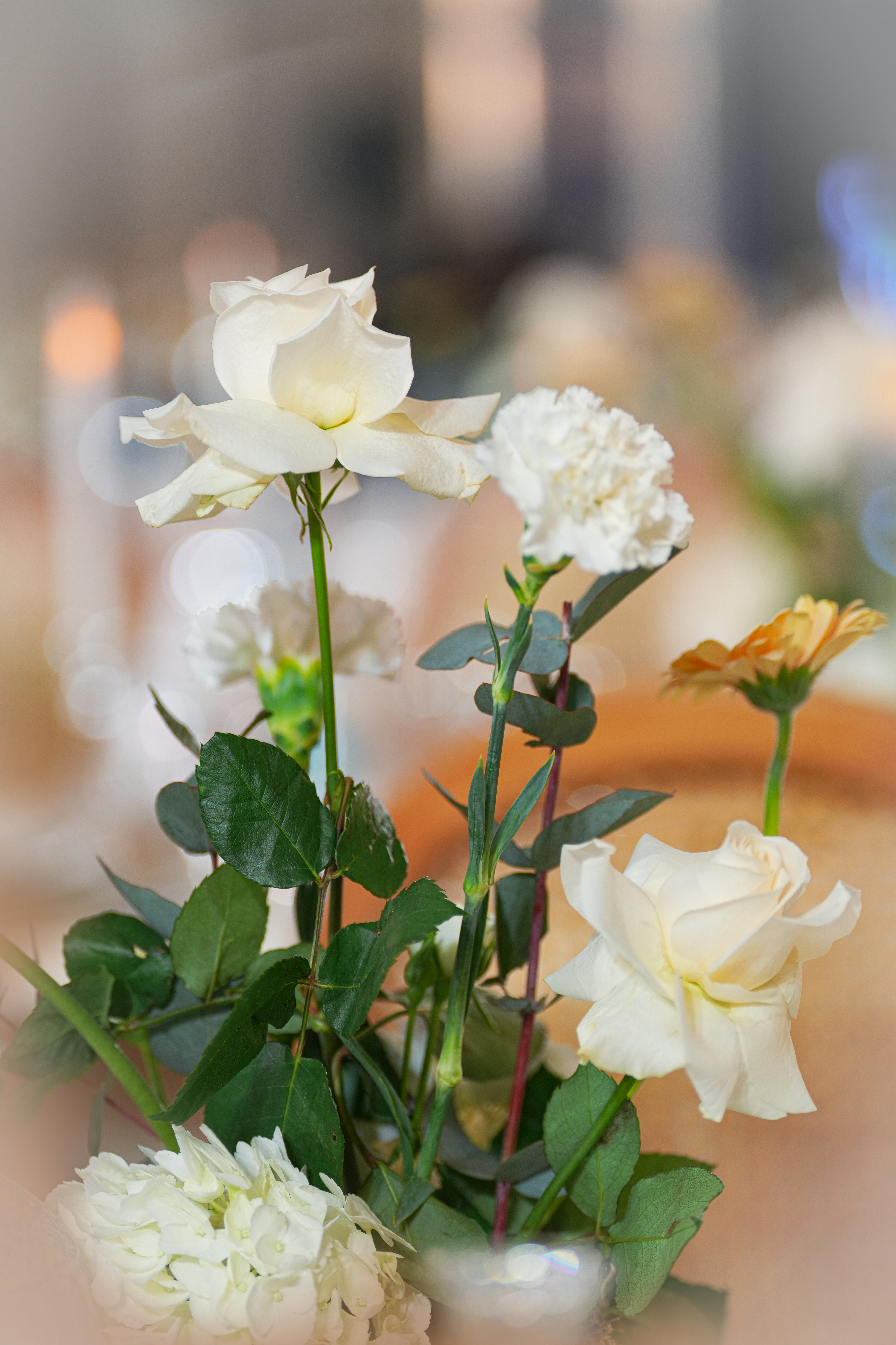 Whispers of ivory petals: a delicate bouquet in soft focus