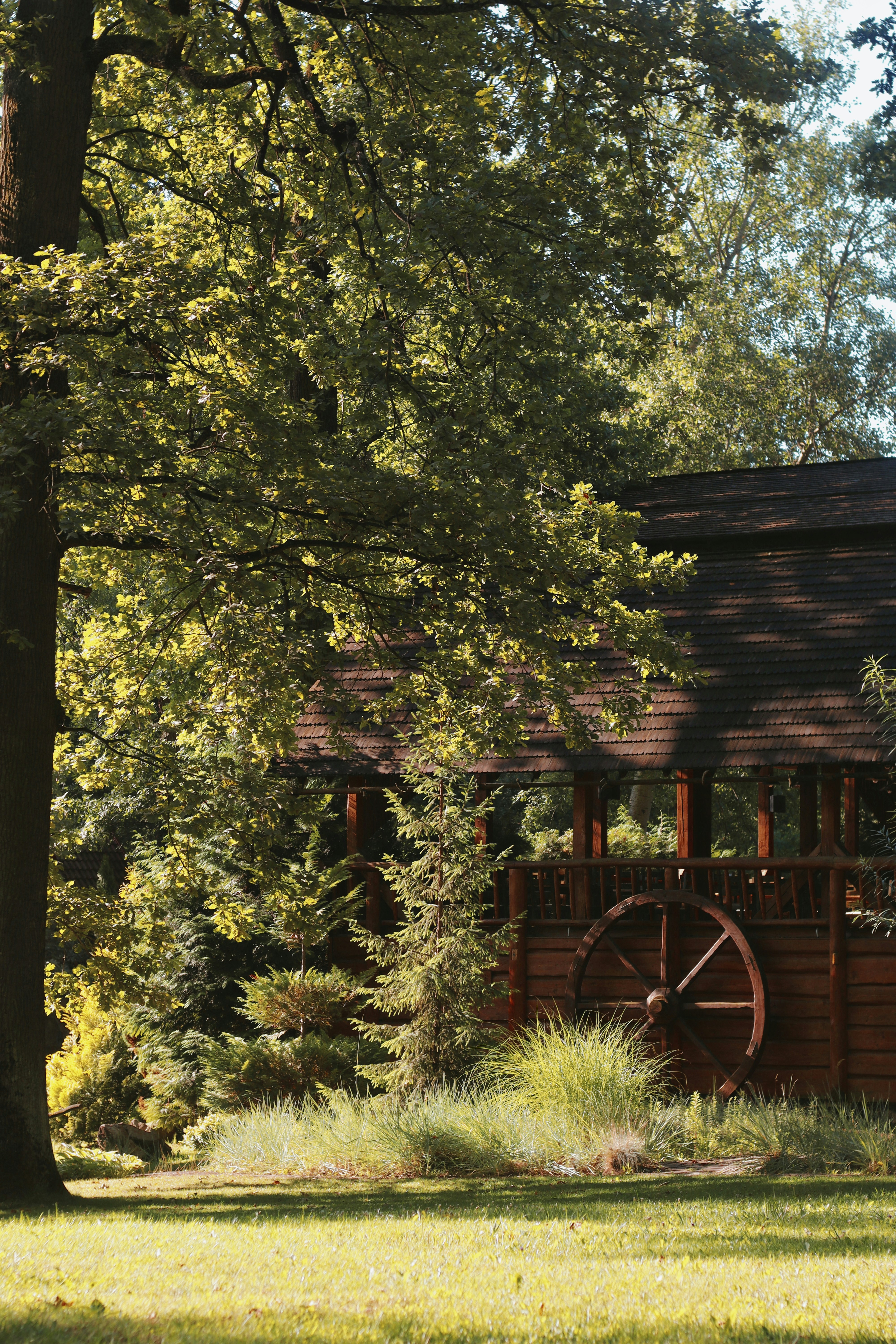 Sunlit Garden Mill: A Rustic Creek of Green and Wood