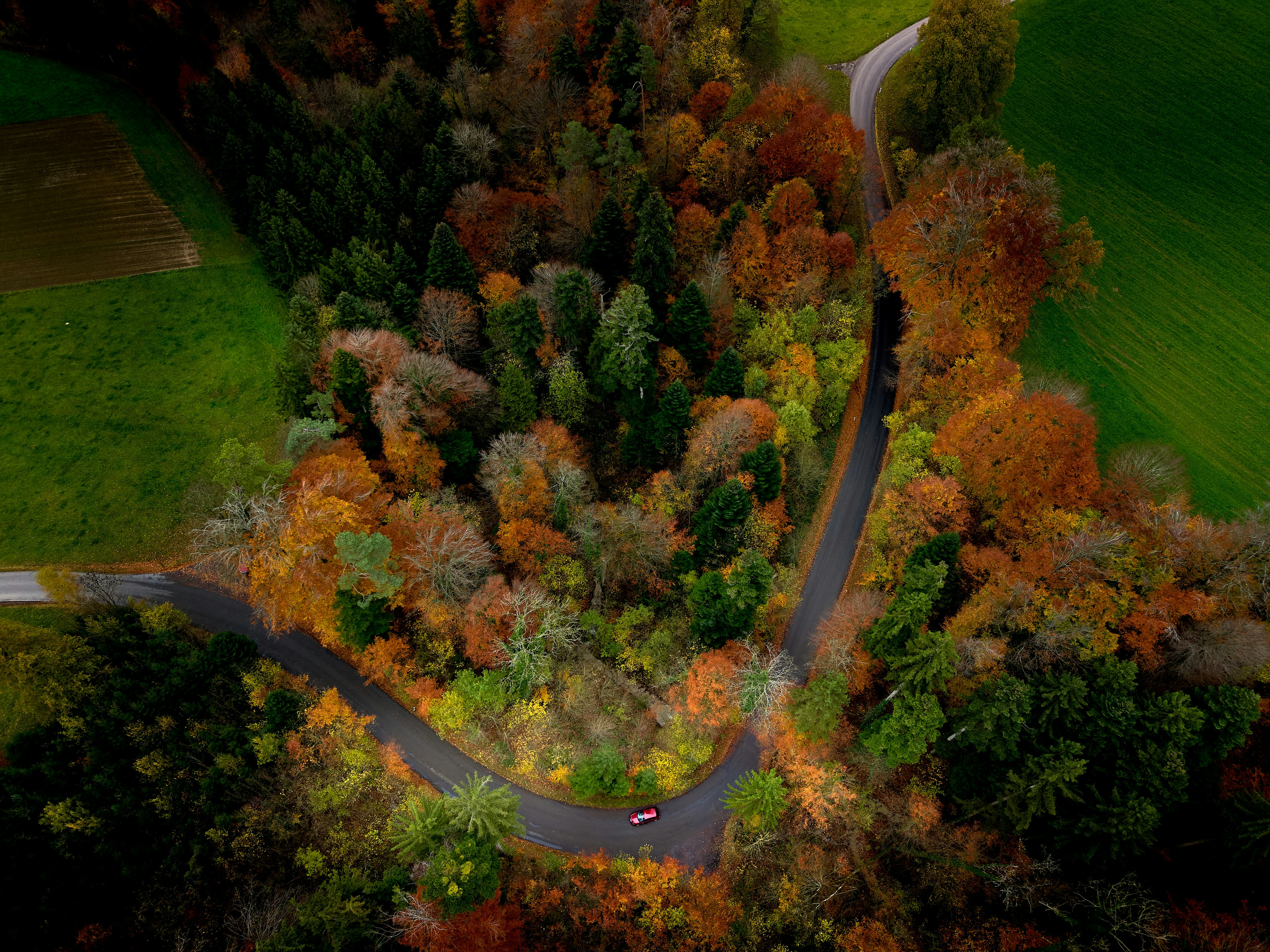 A winding road cuts through a vibrant autumn forest, with a small red car providing a focal point amid fiery foliage and green fields.
