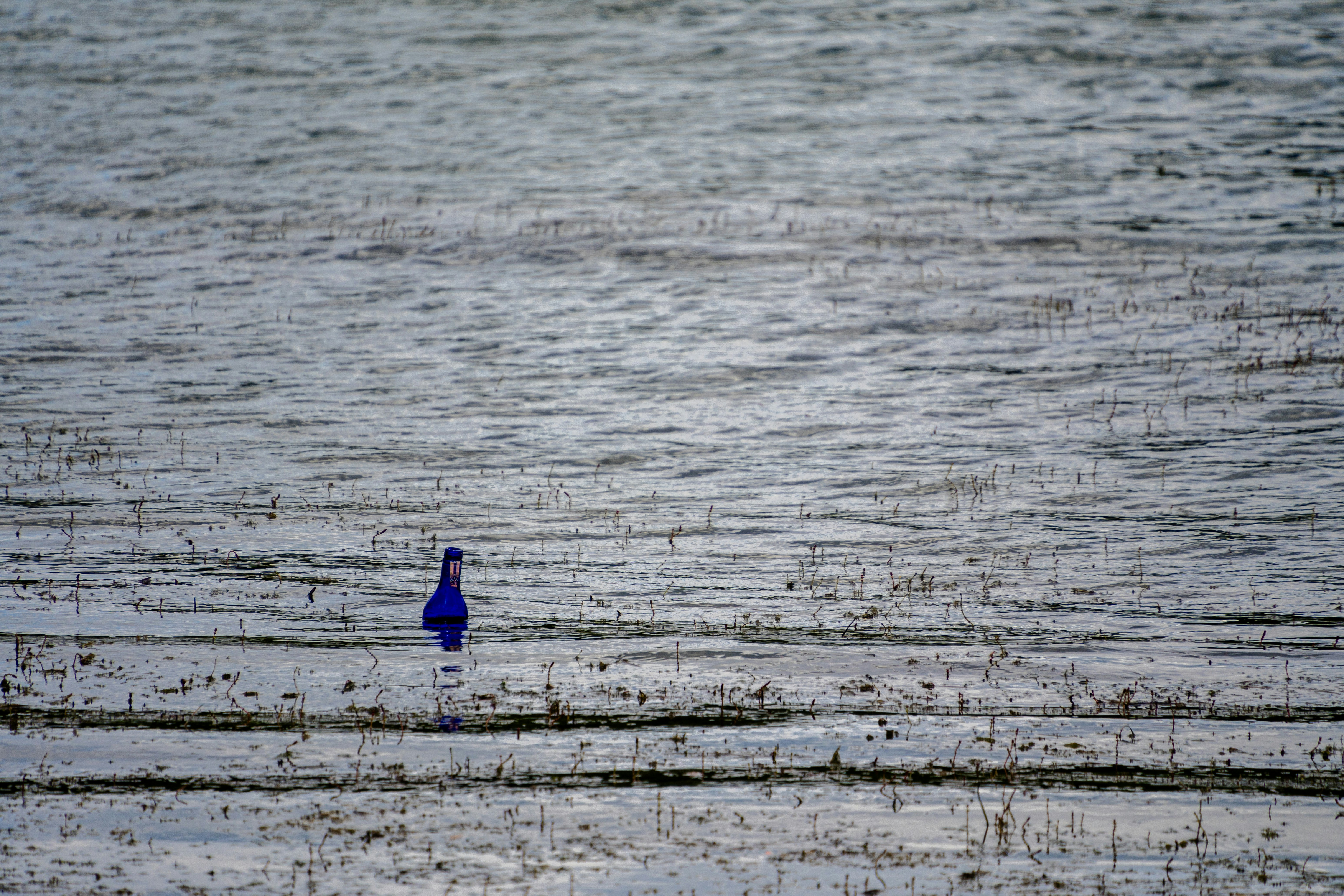 Blue buoy as lone compass in a misted shoreline