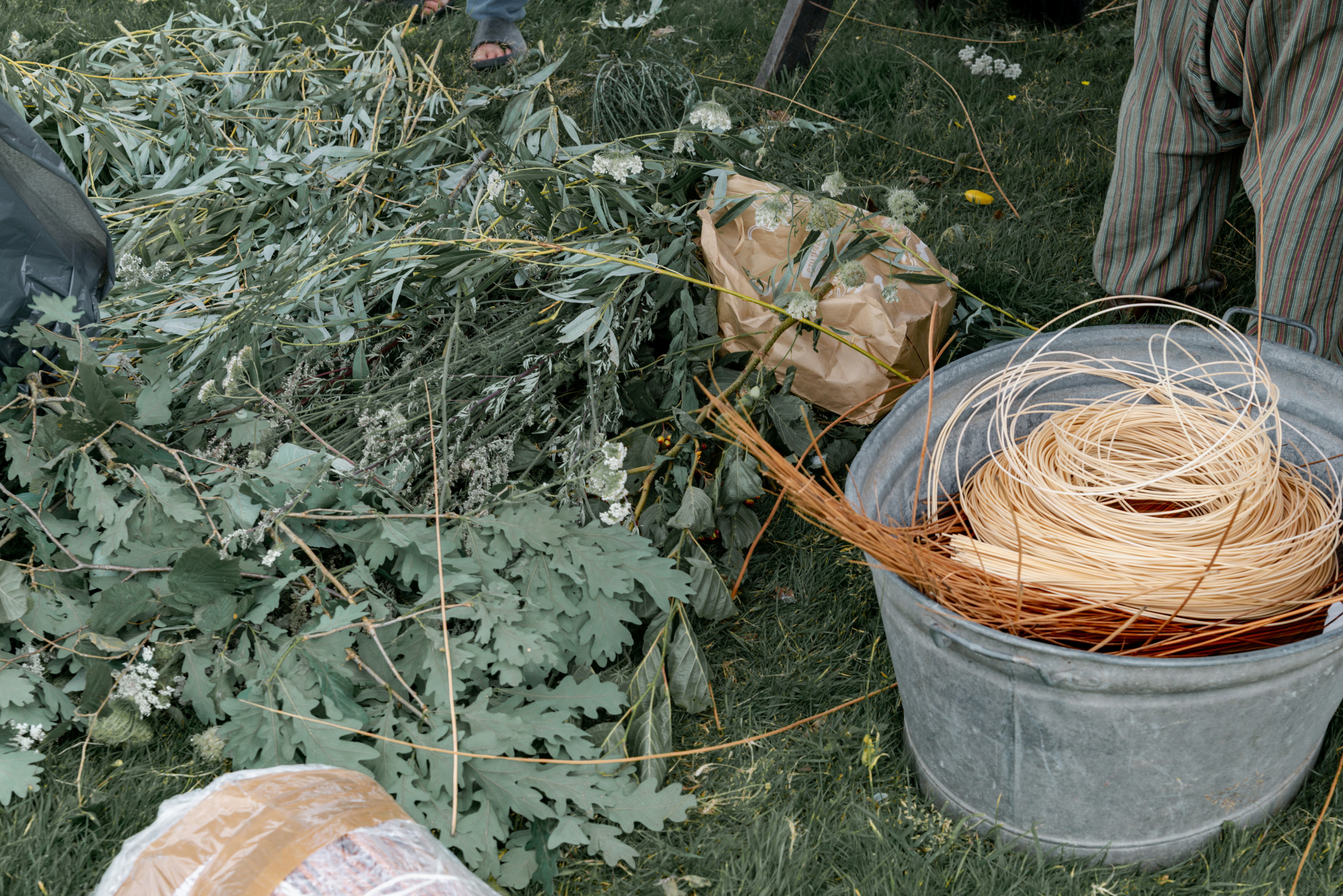 Tangled Garden: Coiled Willow Wire Beside Garden Tools