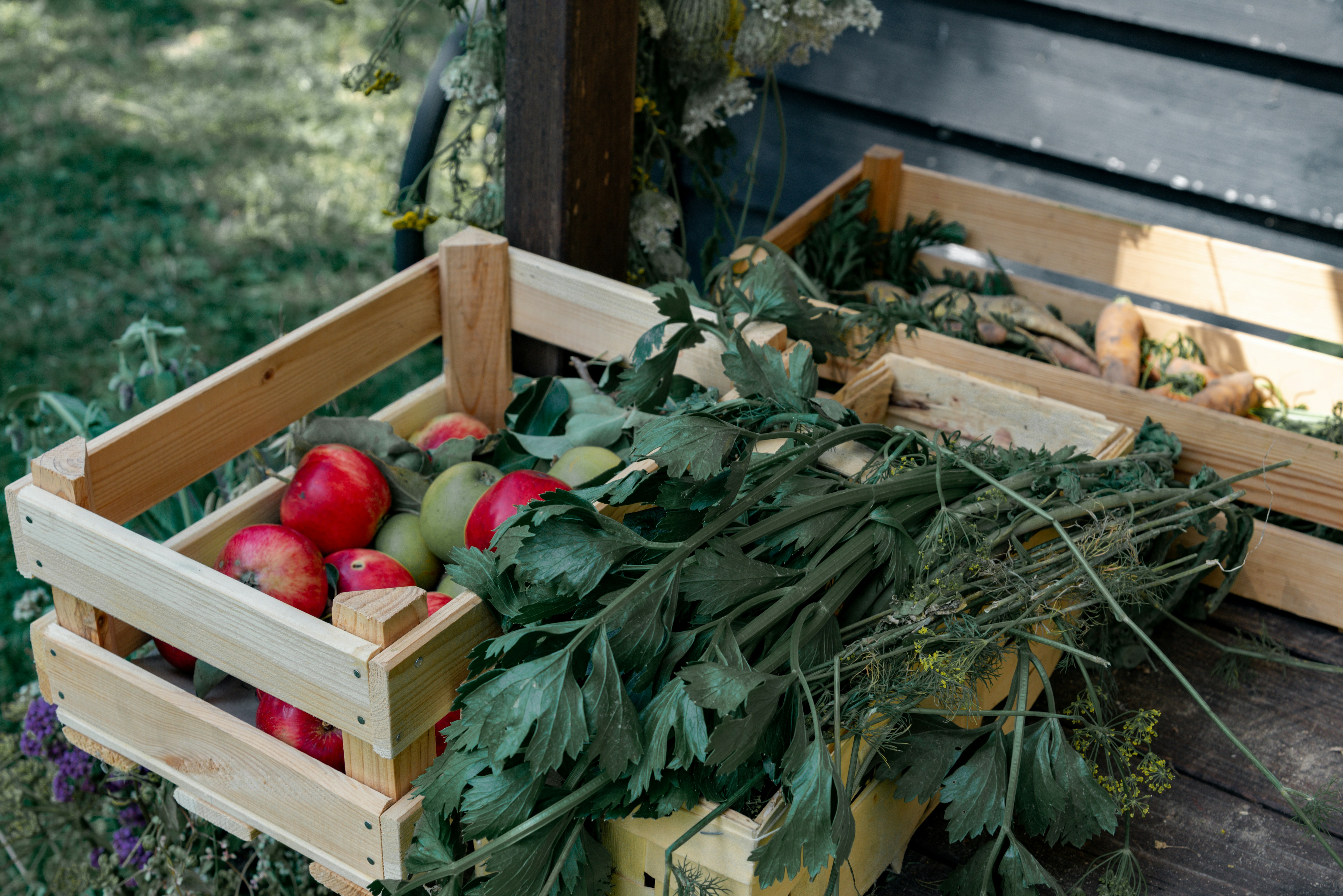 Harvest Basket of Red Apples and Green Foliage on a Wooden Stand