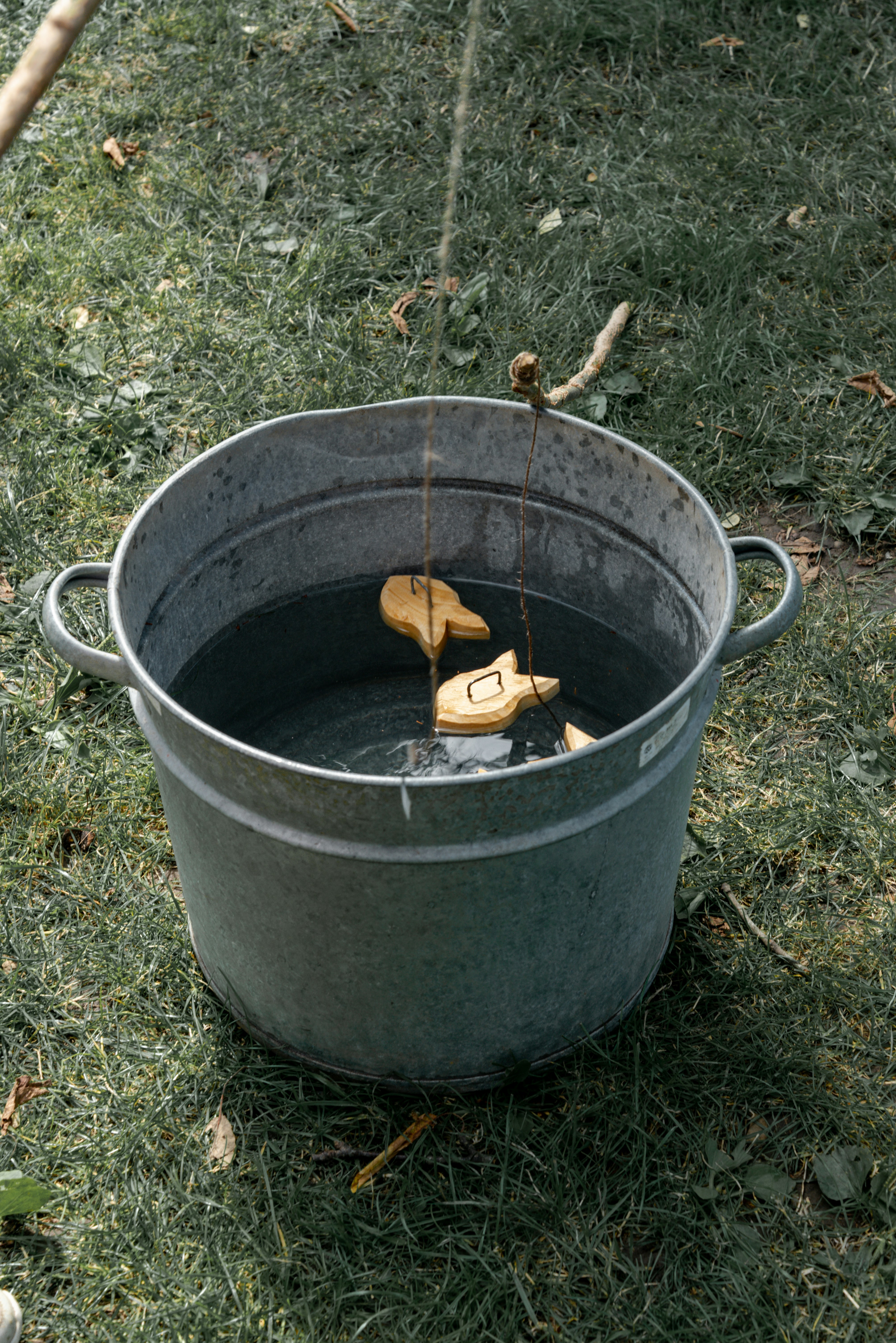 Weathered Bucket of Water in a Quiet Backyard