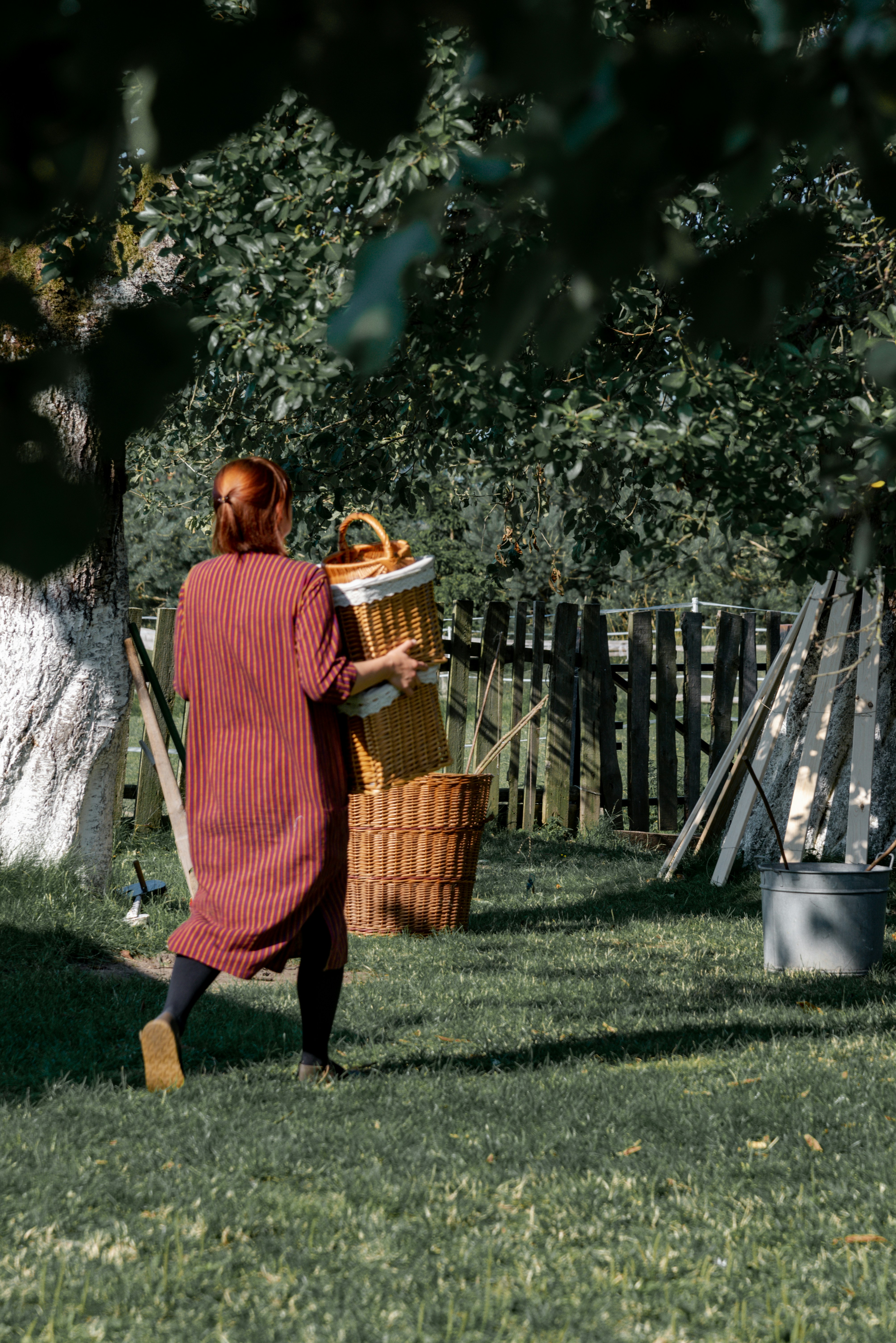 Harvest Day in the Orchard: A Red-Haired Helper Carrying Baskets
