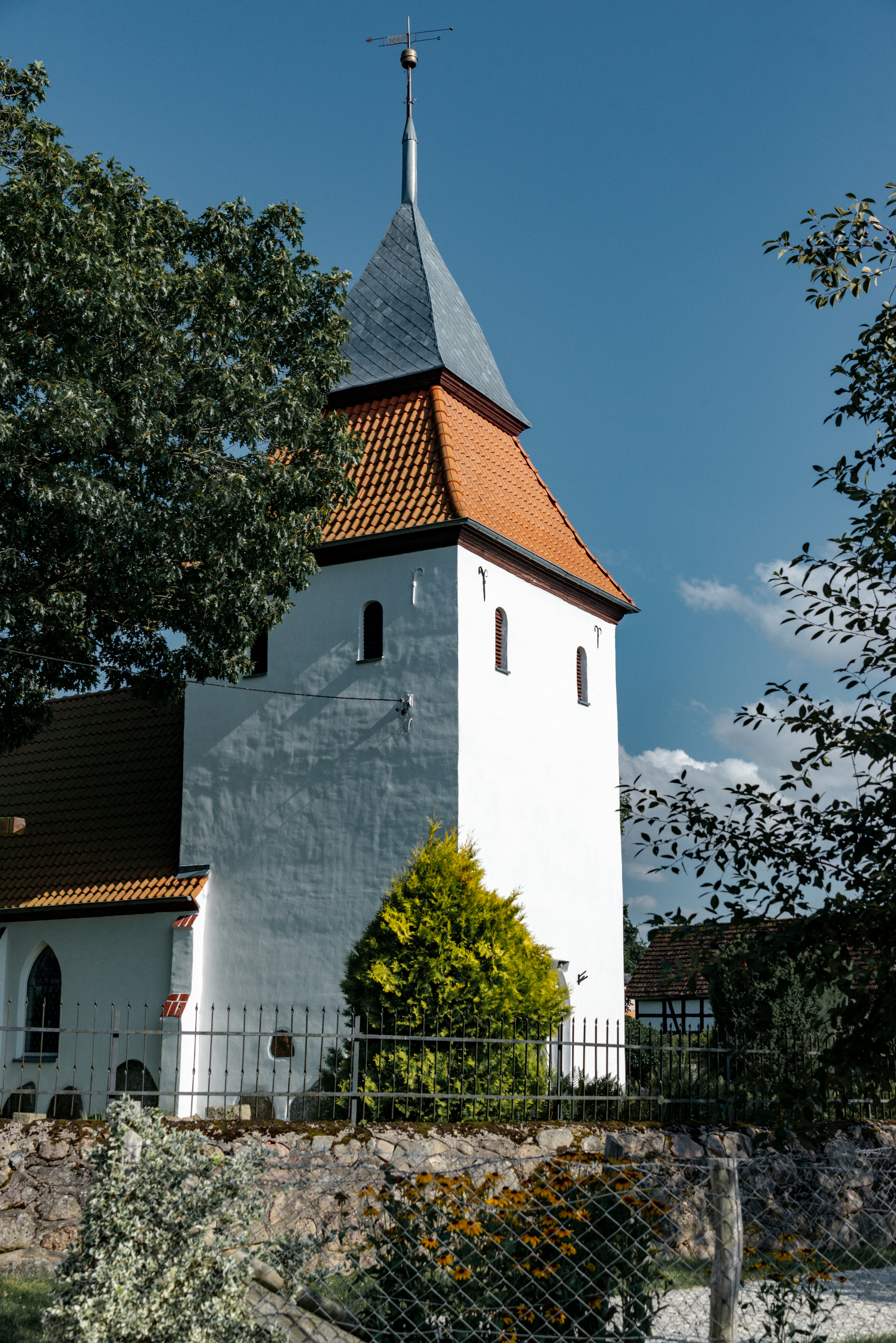 White Church Rising Behind a Verdant Fence under a Clear Blue Sky