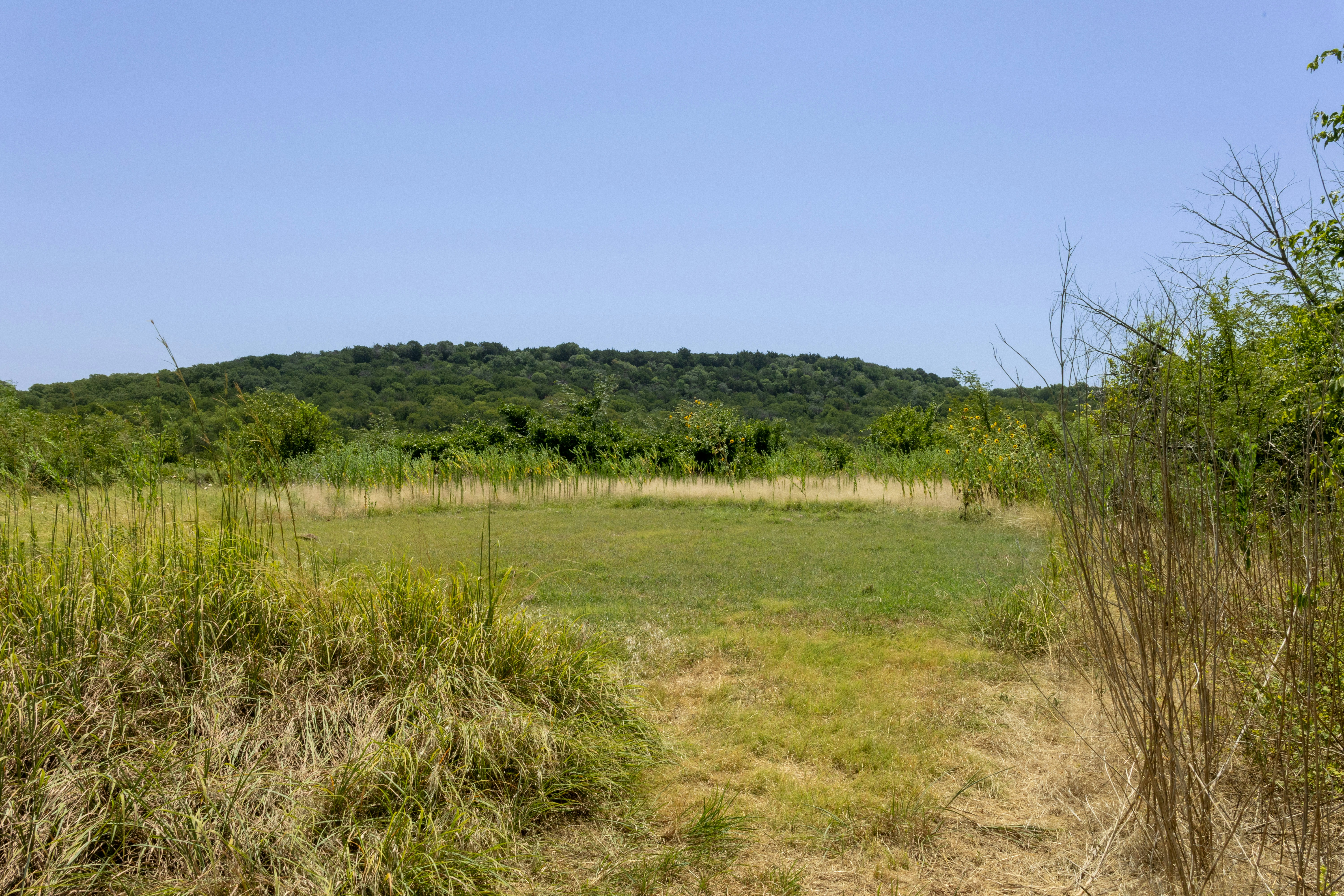 Horizon Gate: Open Field Toward a Gentle Hill