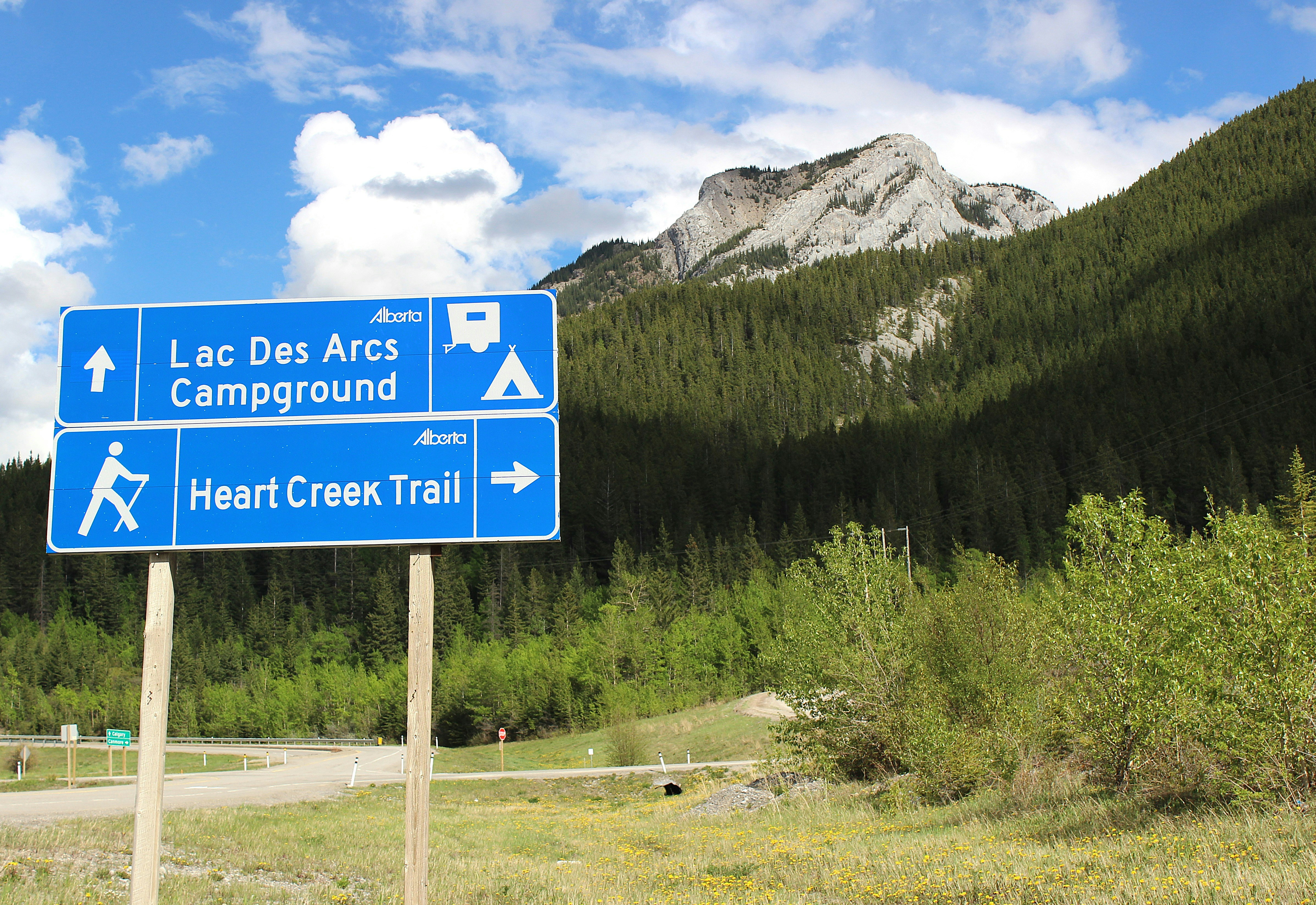Blue Signpost to Lac Des Arcs and Heart Creek Trail Amid Mountain Pines