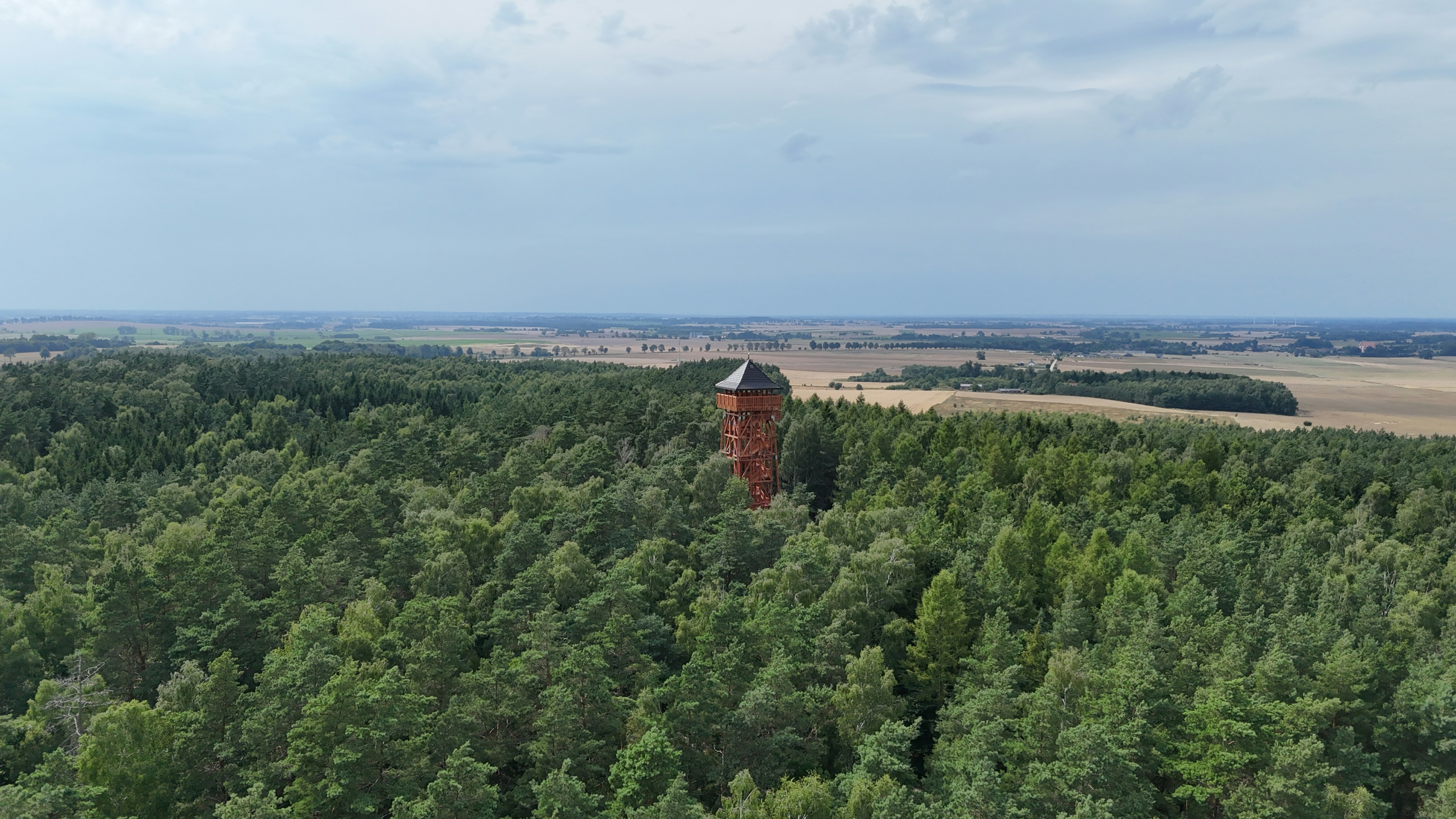 Distant red brick tower emerges from a dense pine forest with a wide open field beyond, captured in daylight. A calm, expansive landscape image with a solitary structure as the focal point.