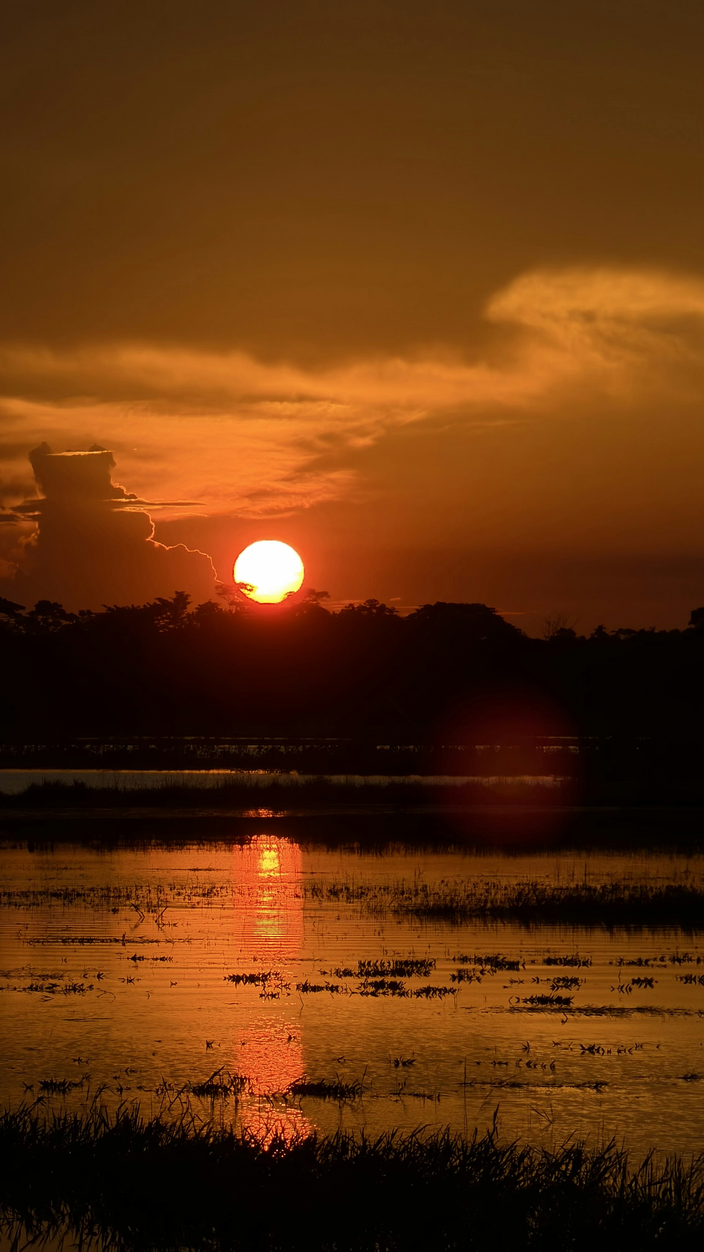 Resonant Horizon: Sunset over Quiet Wetlands